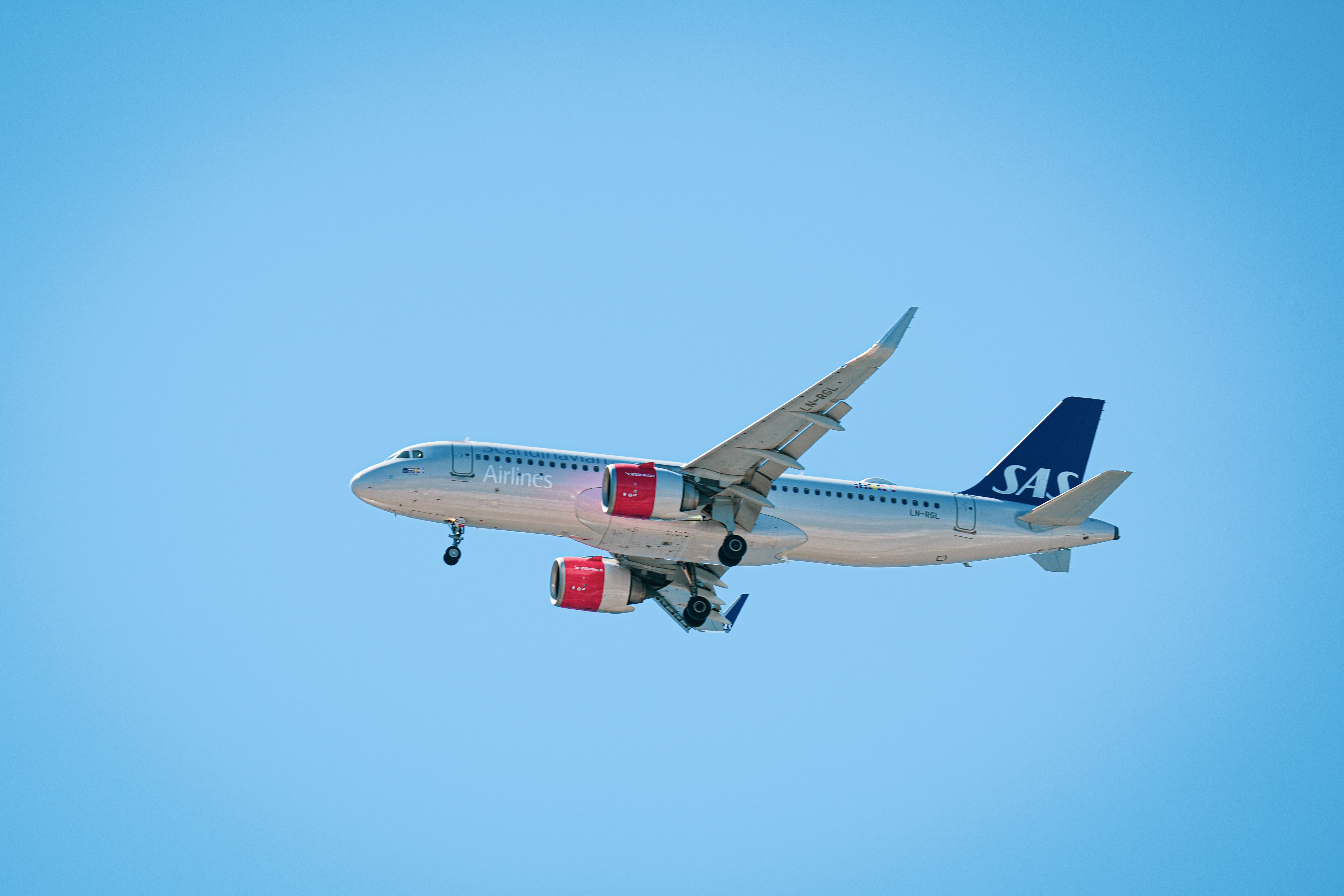 Commercial Airplane Mid-Flight Against Clear Sky · Free Stock Photo