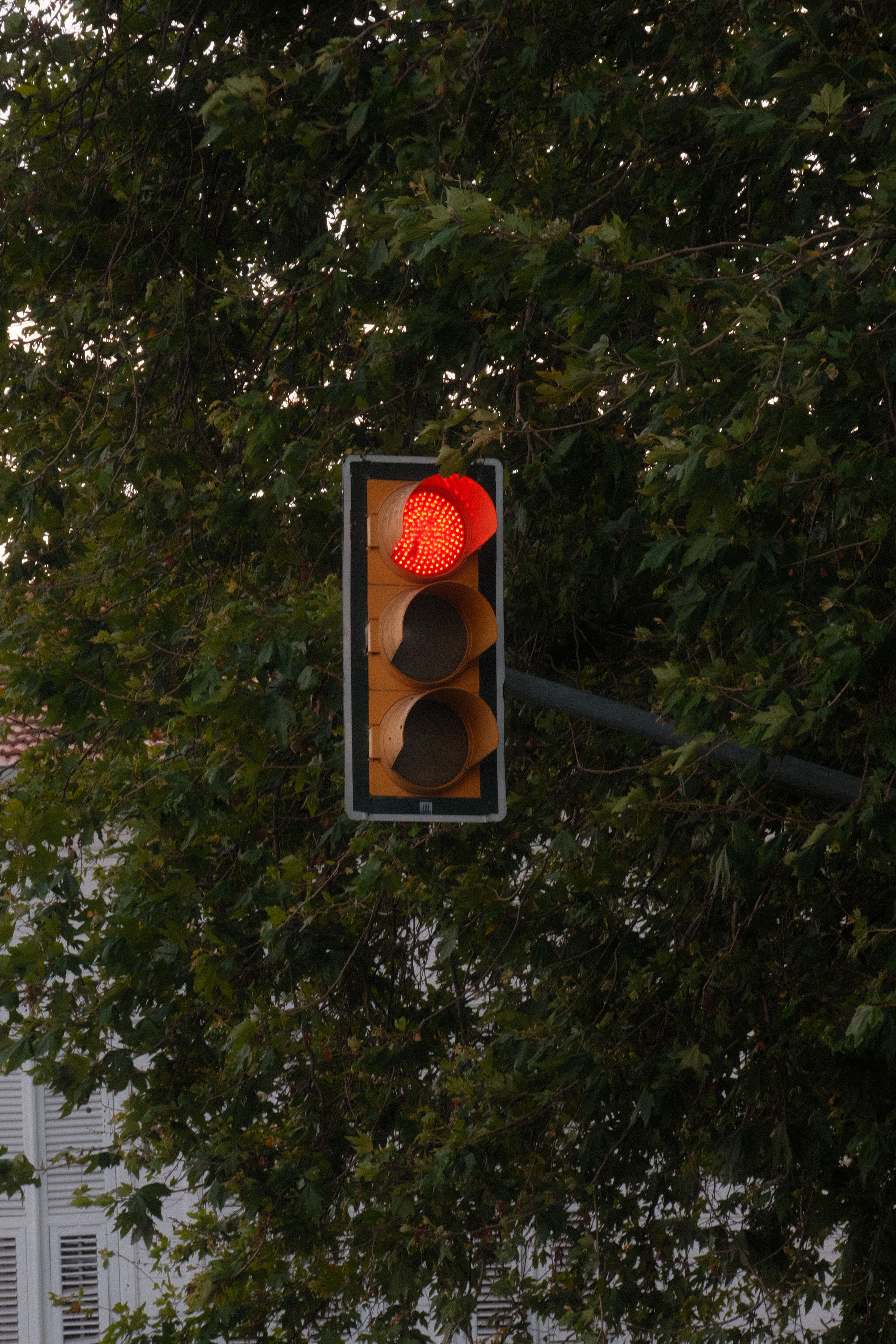 Traffic Light at Red in İstanbul, Türkiye Urban Setting · Free Stock Photo