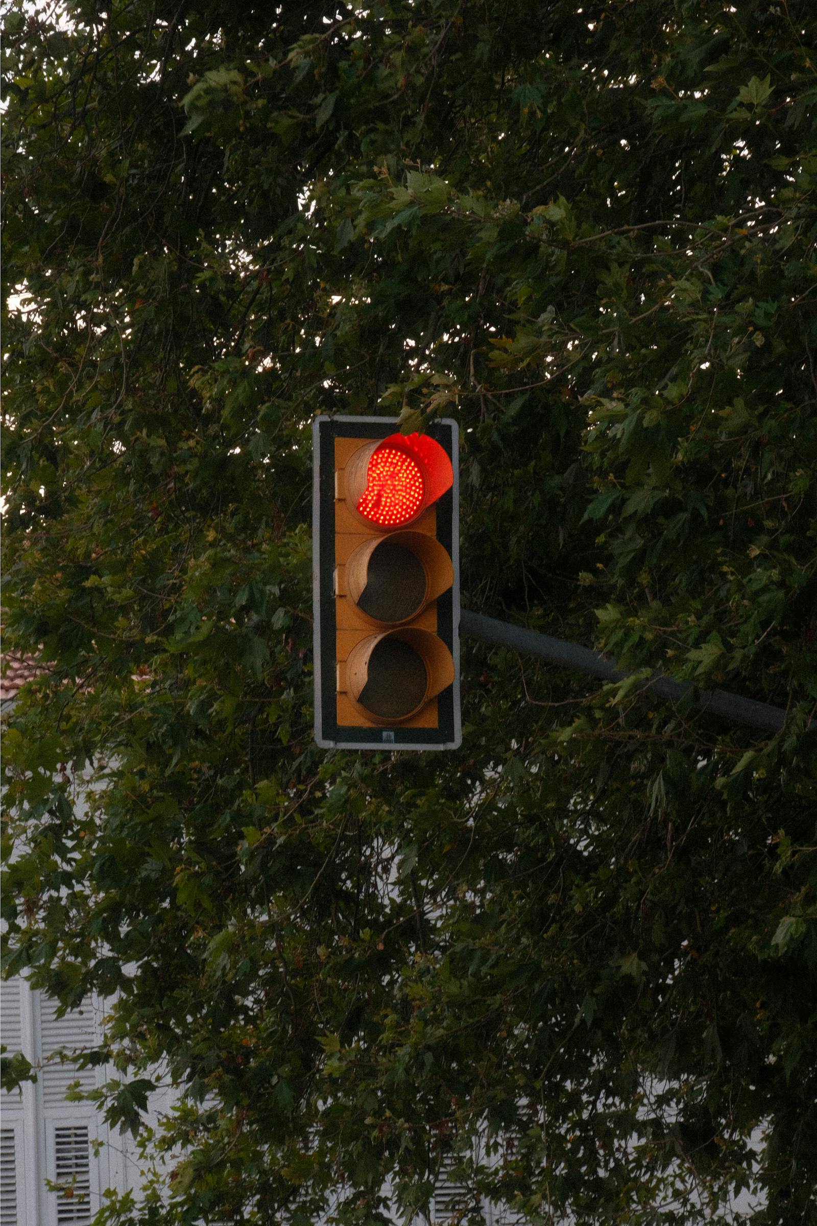 Stop Light Photos, Download The BEST Free Stop Light Stock Photos & HD ...