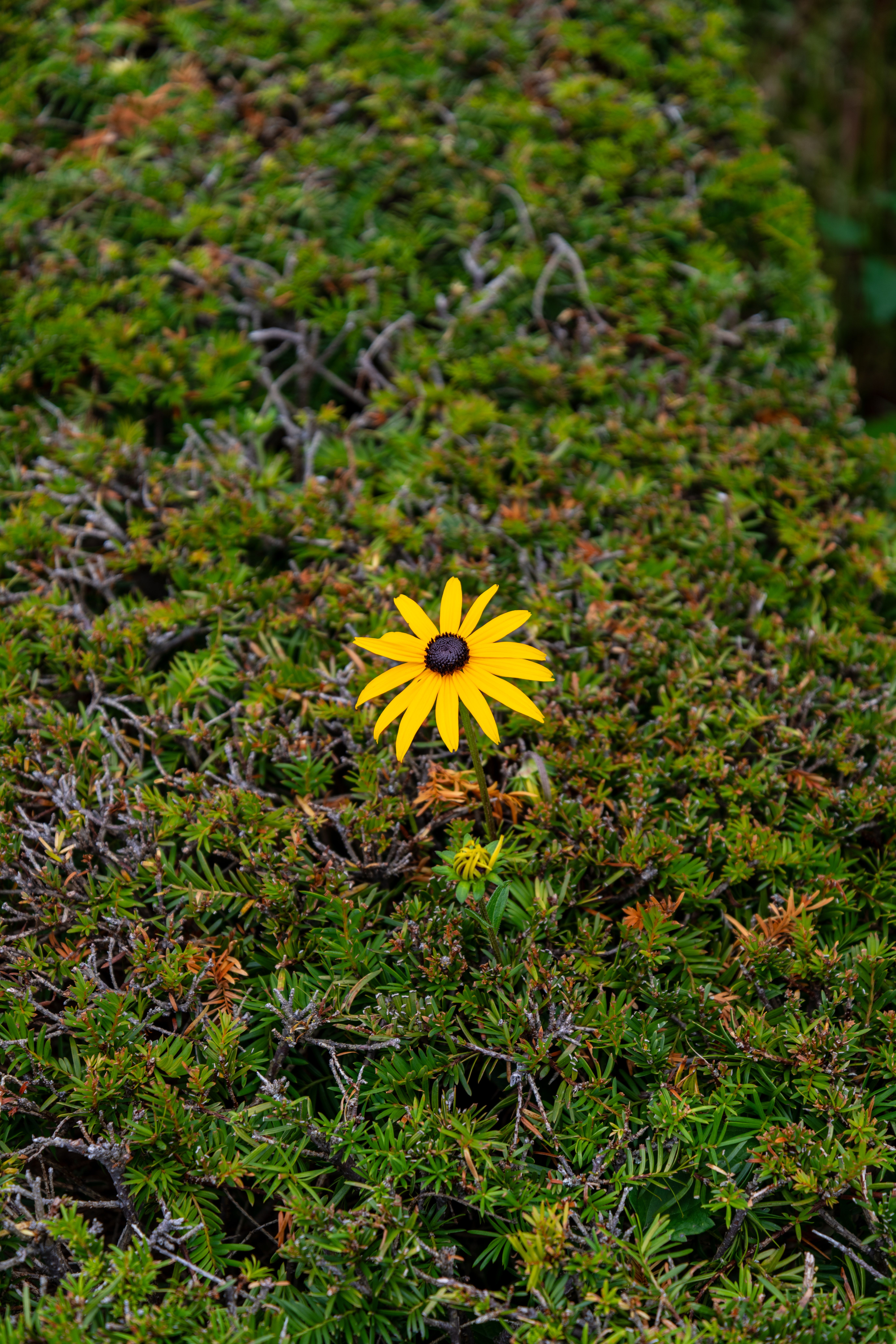 Keep Alive Photos, Download The BEST Free Keep Alive Stock Photos & HD ...