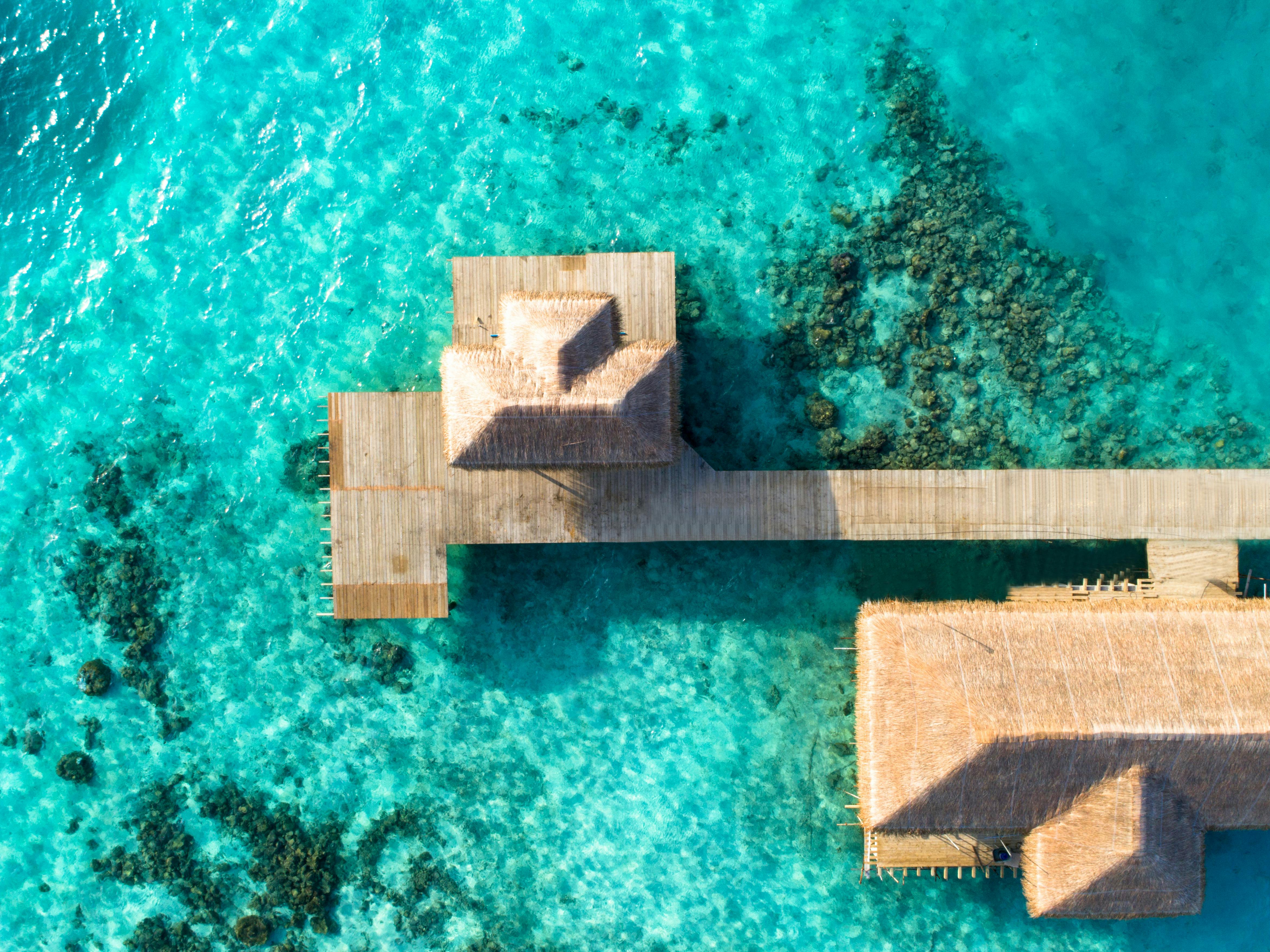 Bird's Eye View Of Structure During Daytime · Free Stock Photo
