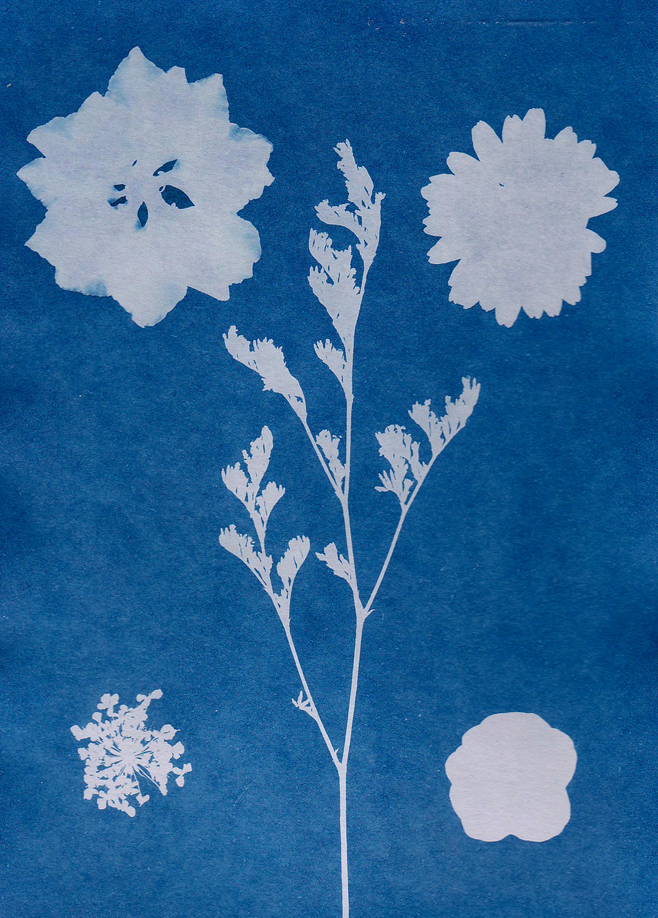 Tmx+Background+Wallpapers Photos, Download The BEST Free Tmx+Background ...