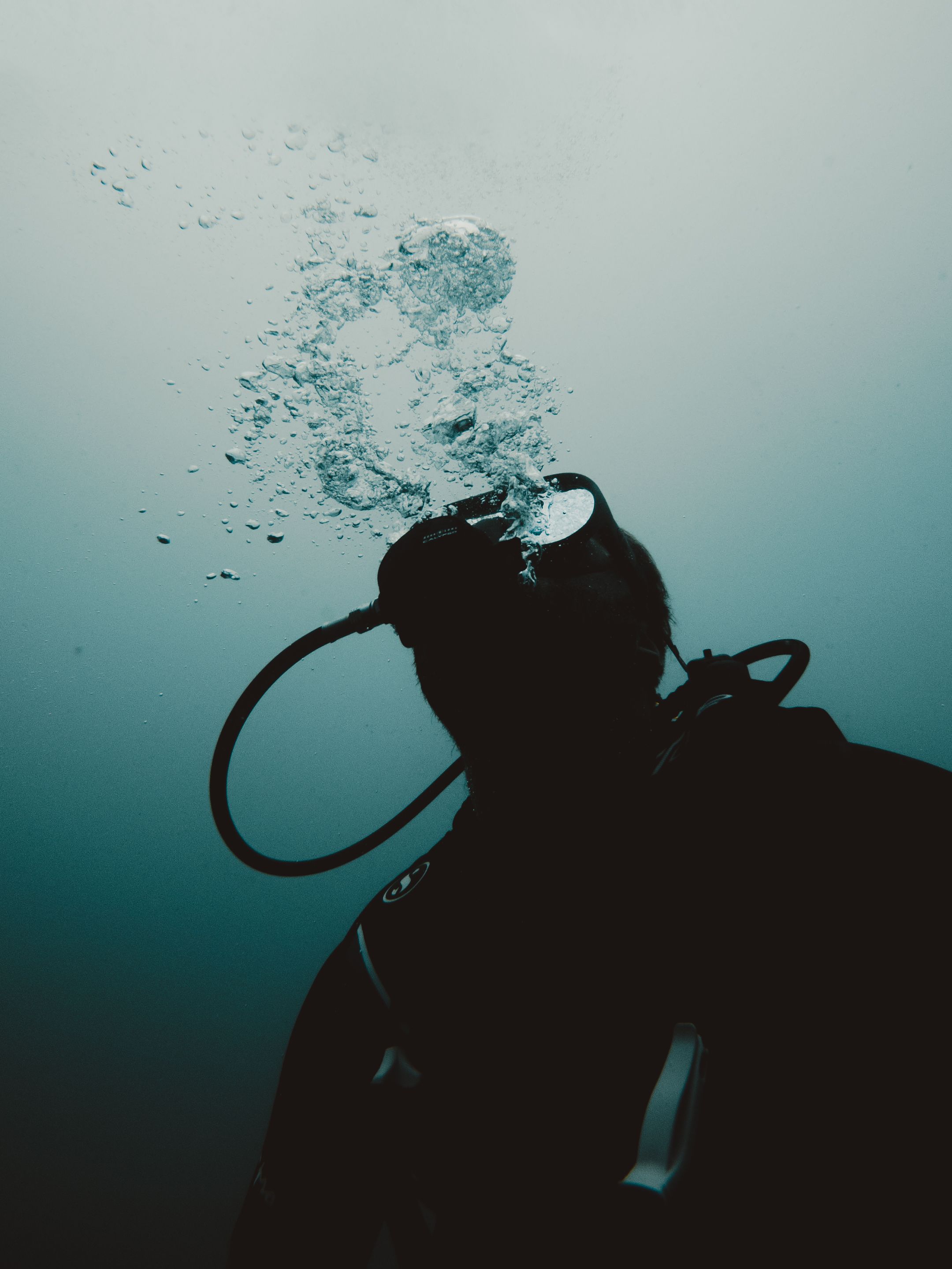 Breathing Oxygen Photos, Download The BEST Free Breathing Oxygen Stock ...