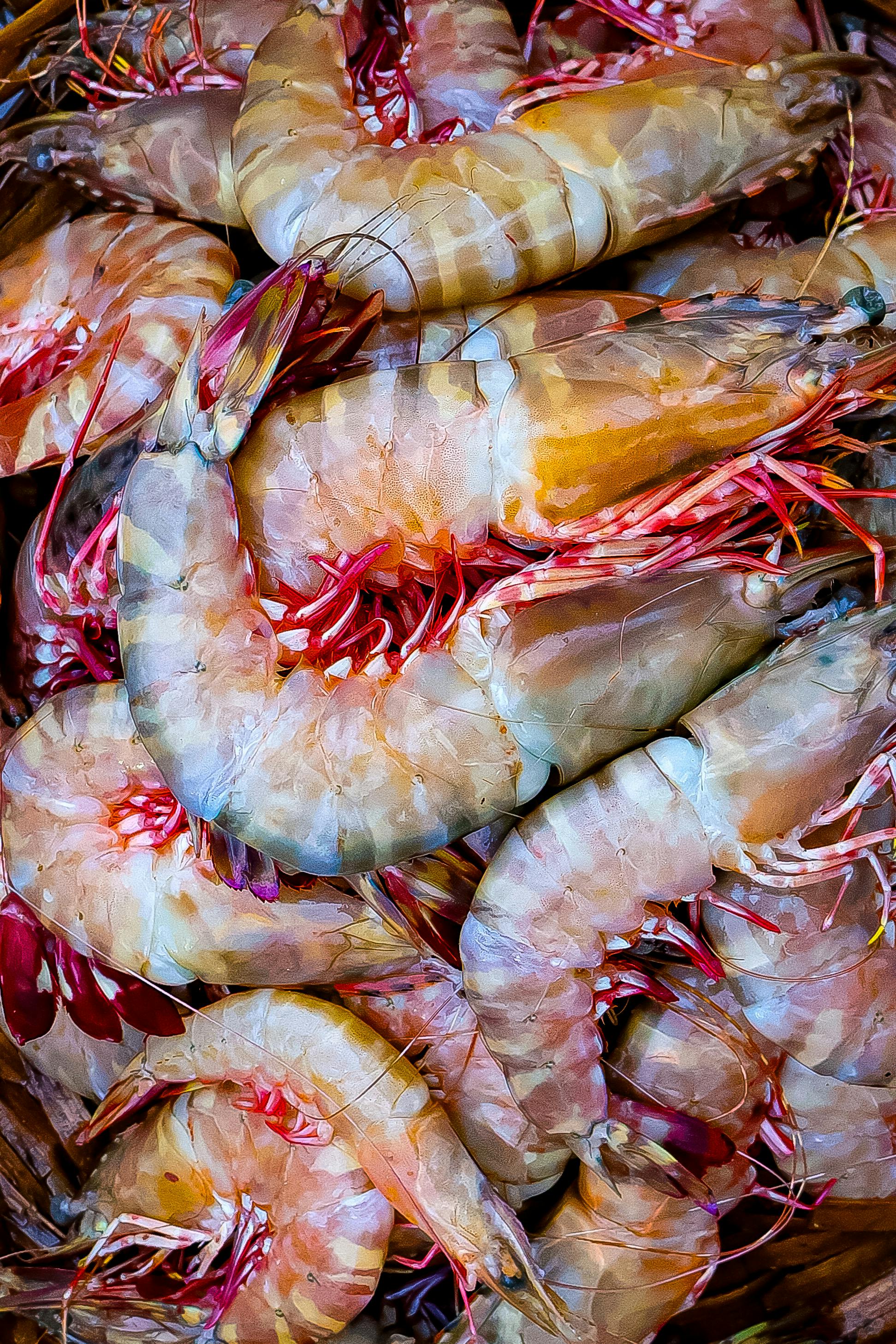 Prawn Cooking Photos, Download The BEST Free Prawn Cooking Stock Photos ...