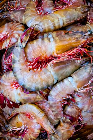 Shrimp Photos, Download The BEST Free Shrimp Stock Photos & HD Images