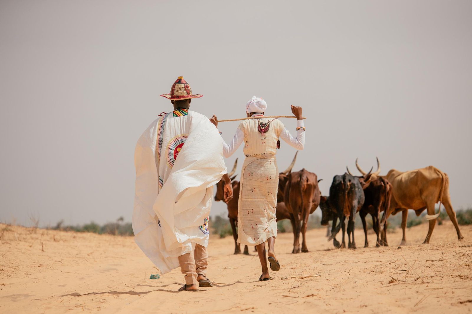 Niger Photos, Download The BEST Free Niger Stock Photos & HD Images