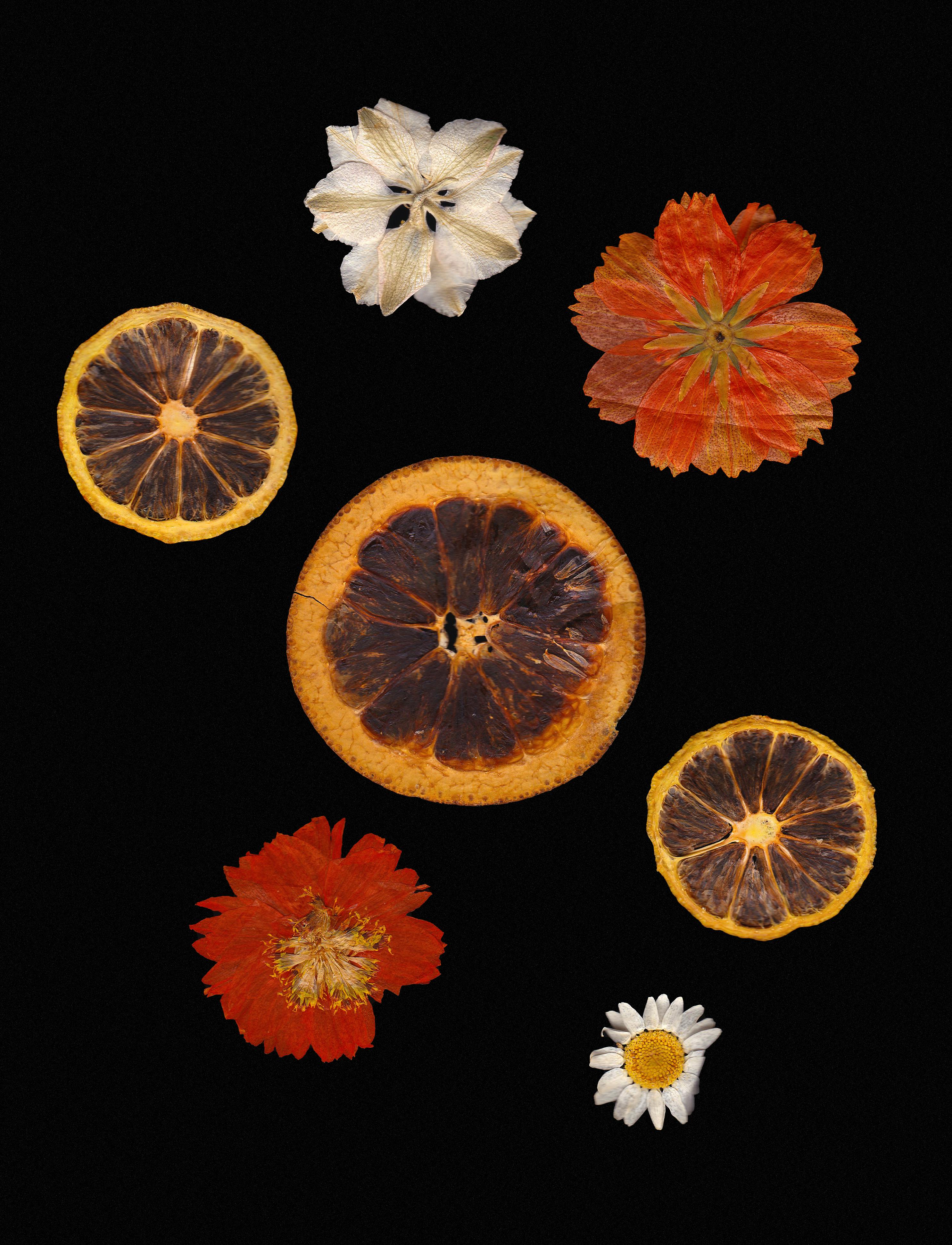 36dd+Breast+Size+Photo+Natural Photos, Download The BEST Free 36dd ...