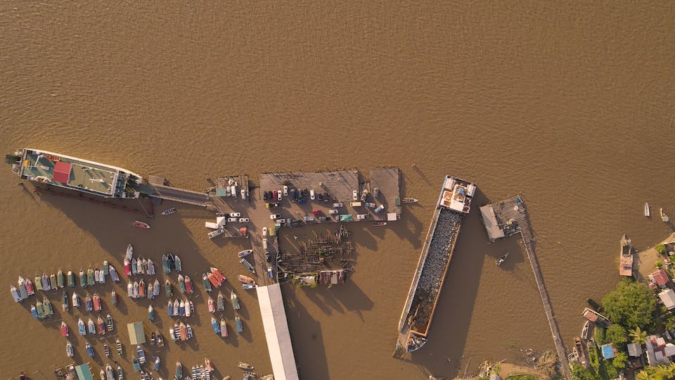 Guyana Gilbaka Fish Curry: Easy Traditional Recipe