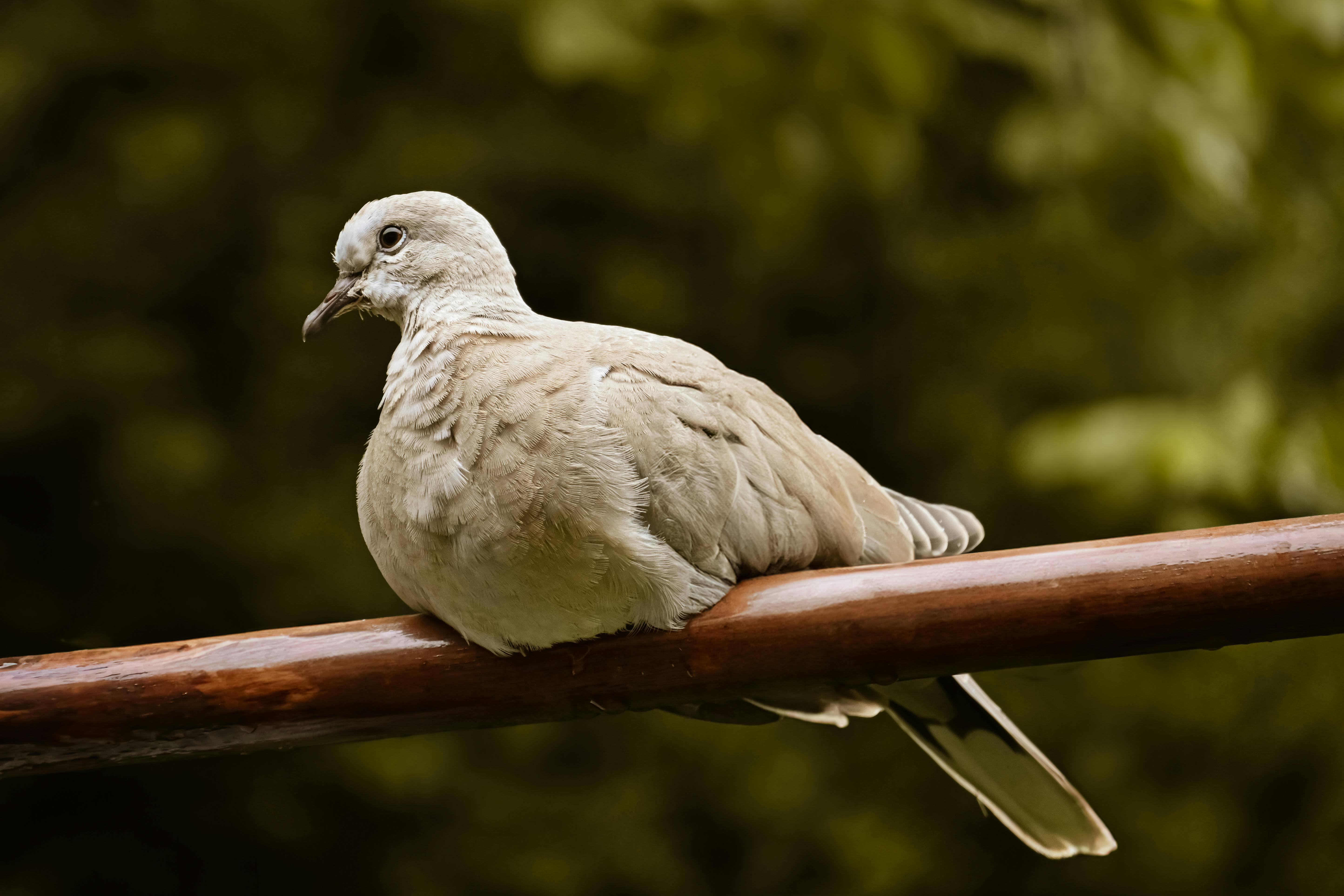 30.000+ Foto 400px Images Terbaik · Unduh Gratis 100% · Foto Stok Pexels