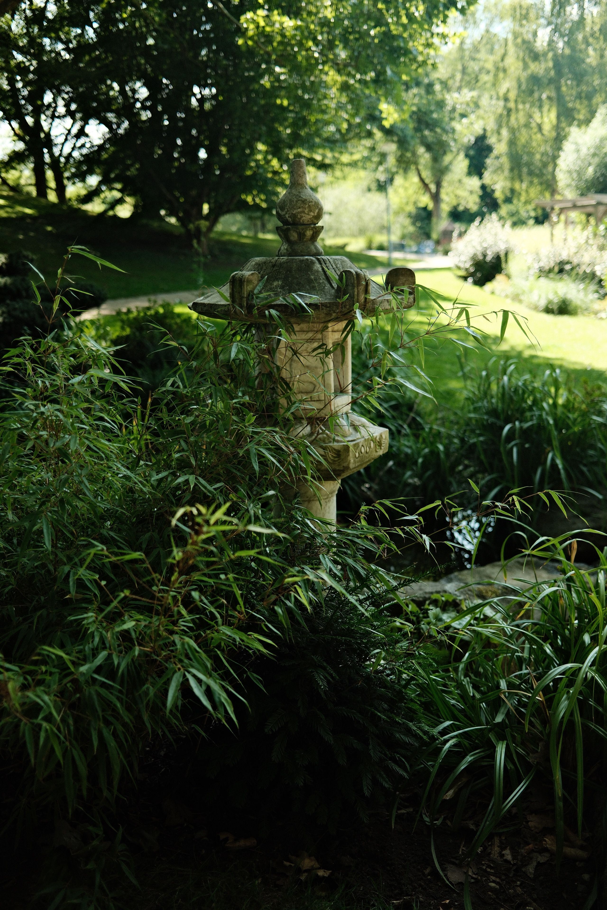 Bamboo Planting Photos Download The Best Free Bamboo Planting Stock