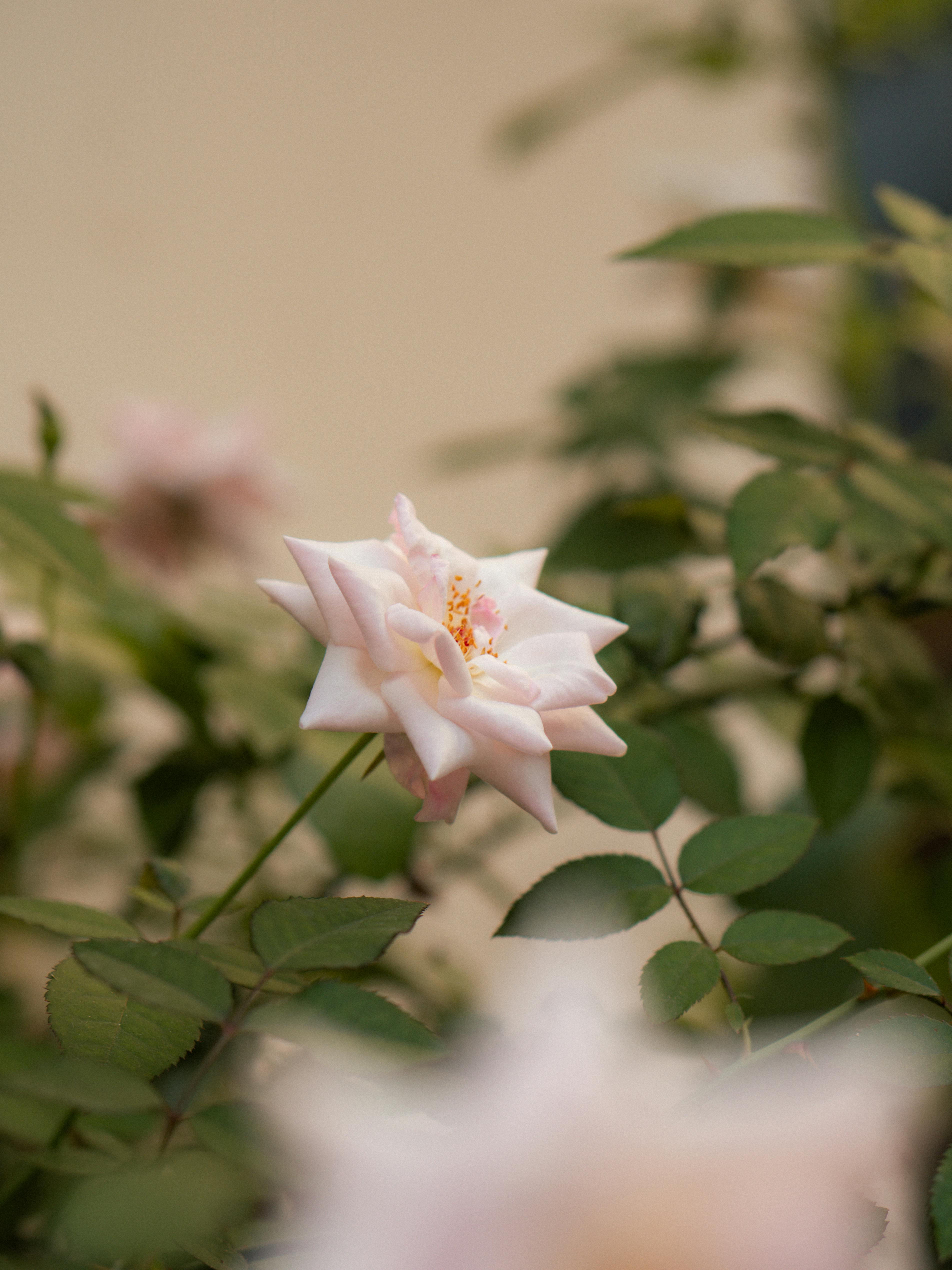 Bgmi+Thumbnail+Hd+4k Photos, Download The BEST Free Bgmi+Thumbnail+Hd+ ...