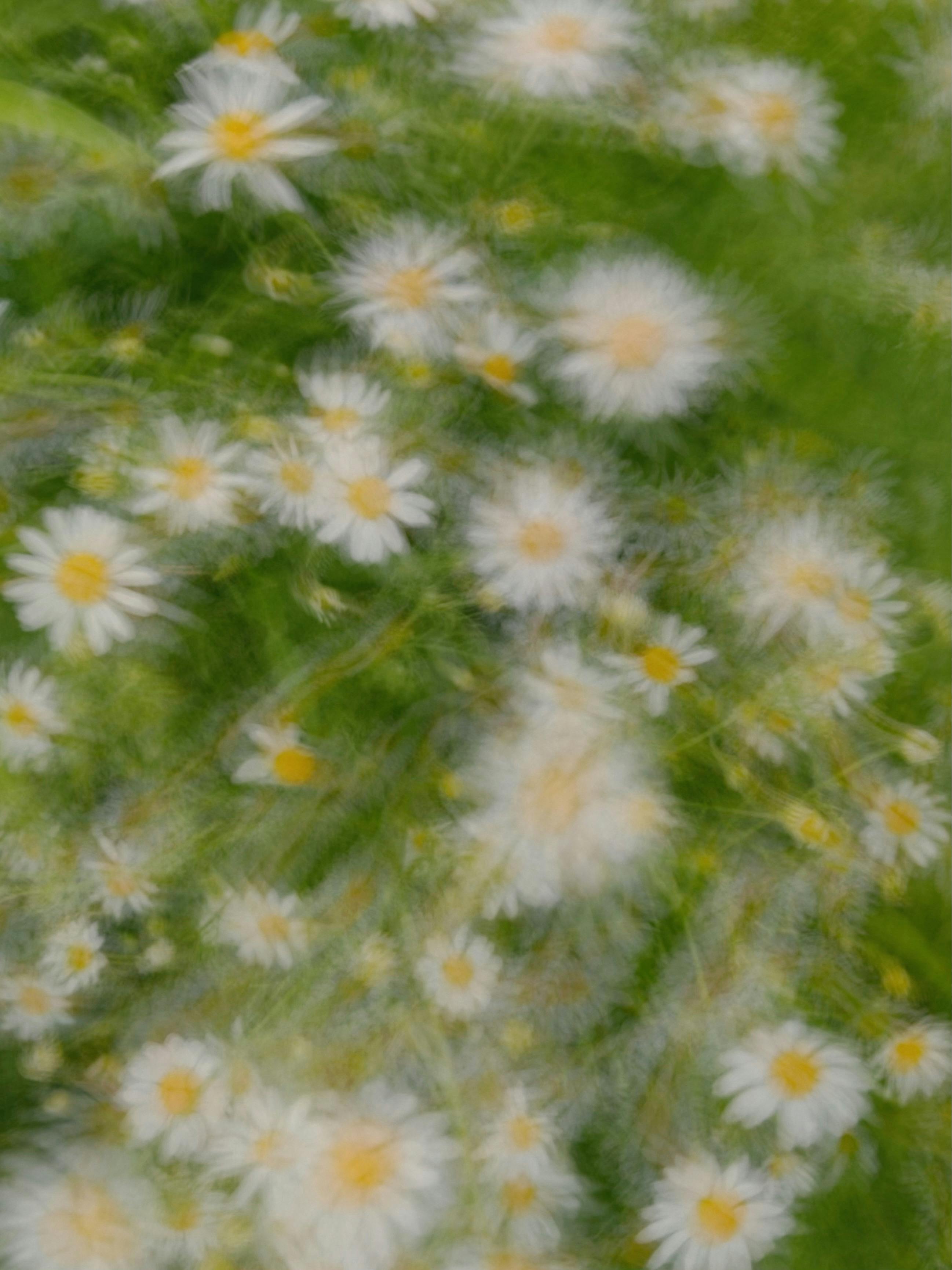 Background Without Blur Photos, Download The BEST Free Background ...