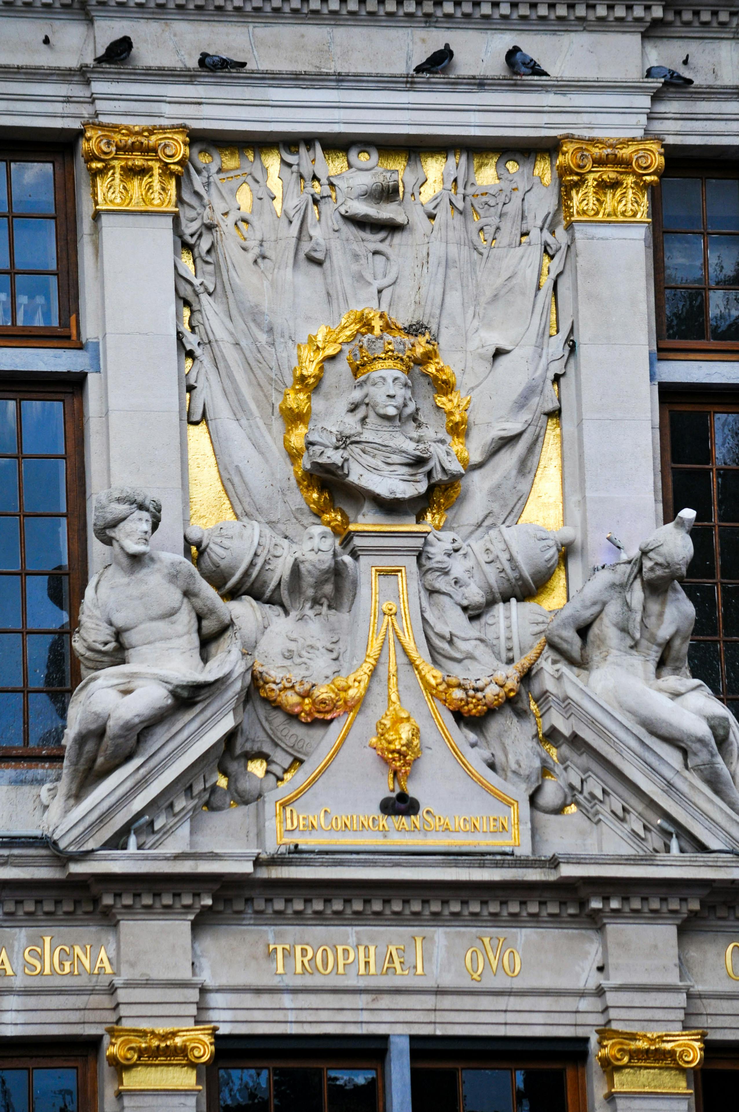 Kone Photos, Download The BEST Free Kone Stock Photos & HD Images