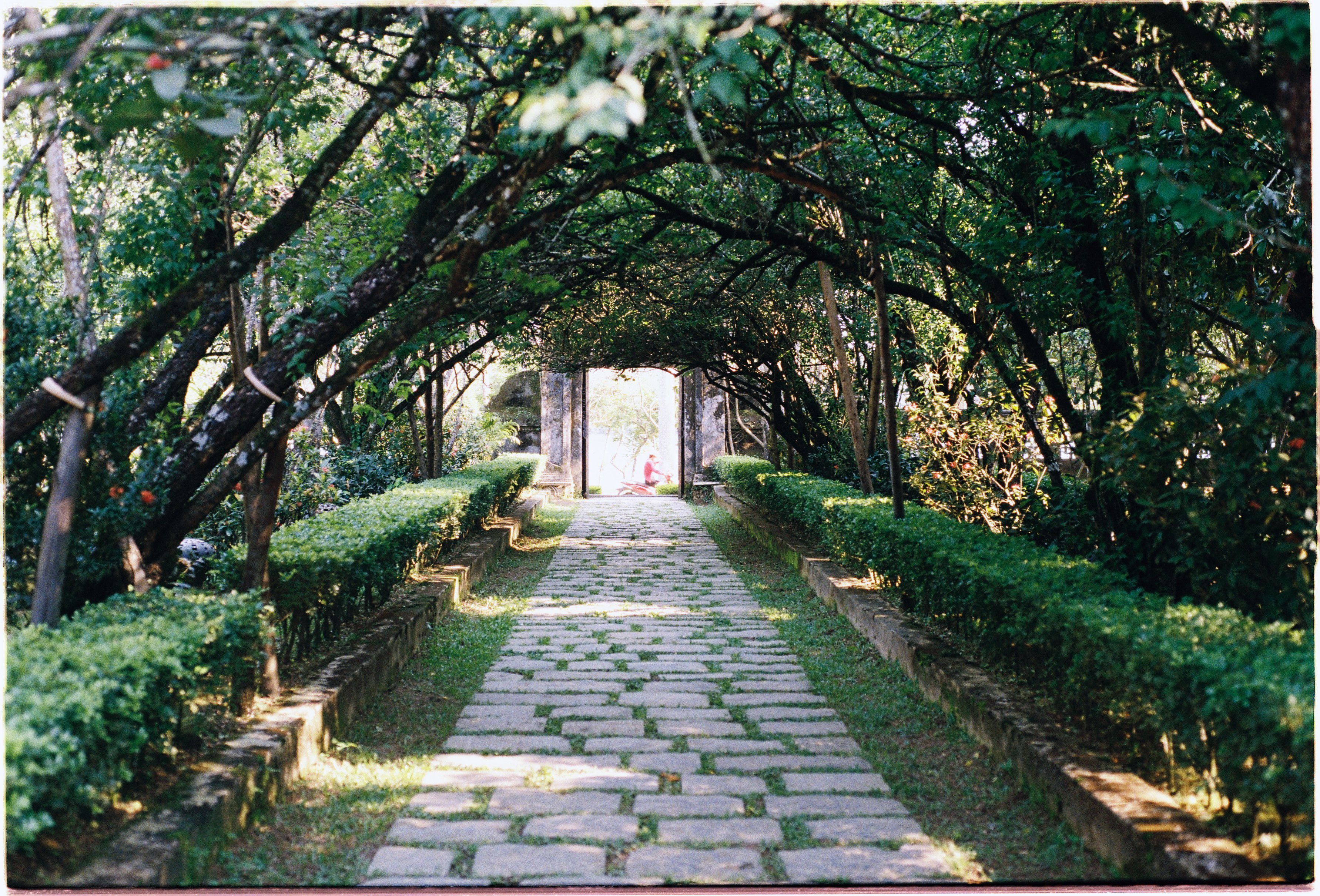 Tranquil Garden Path Under Leafy Arbor · Free Stock Photo