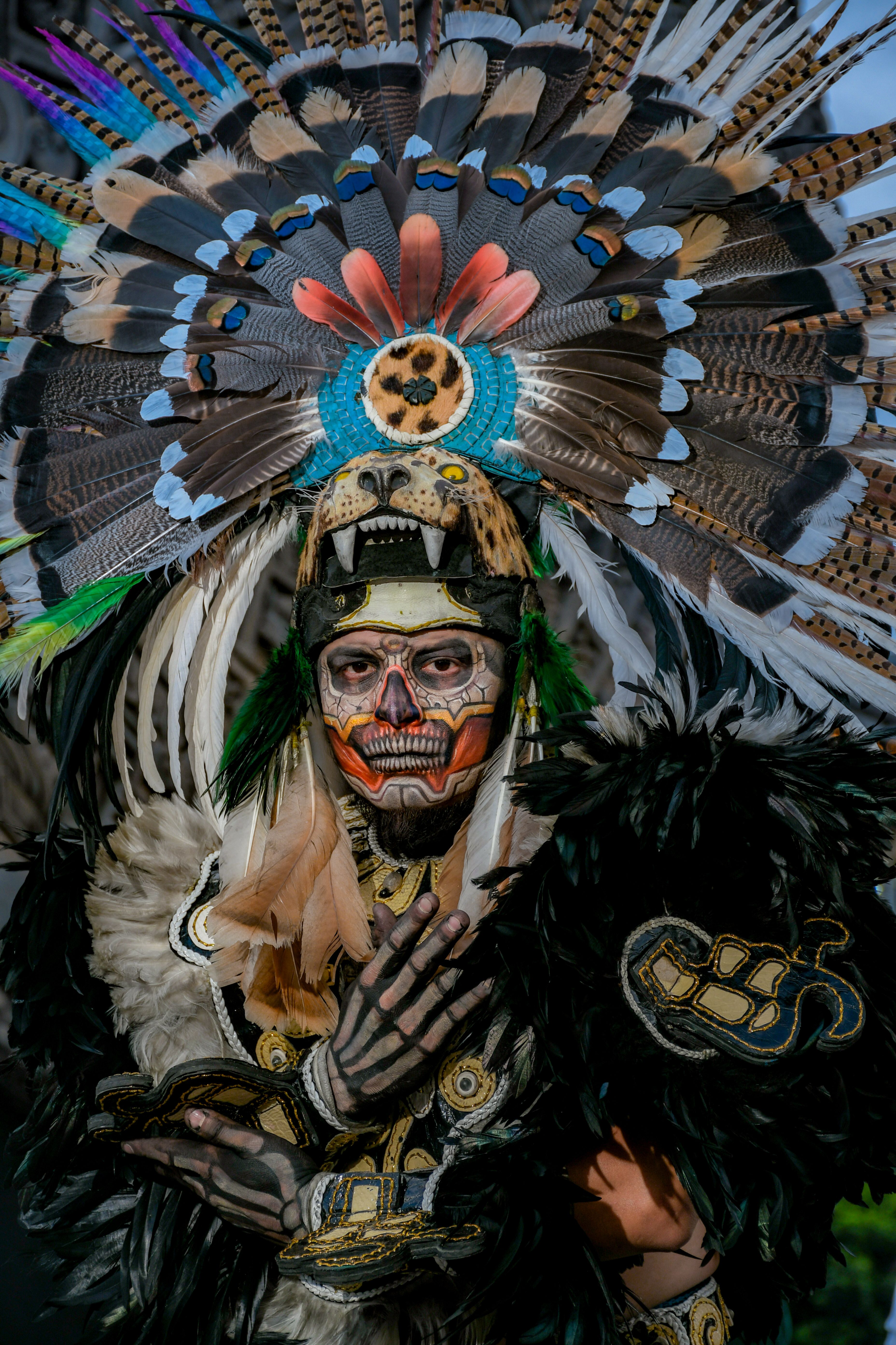Ornate Feather Headdress and Face Paint Display · Free Stock Photo