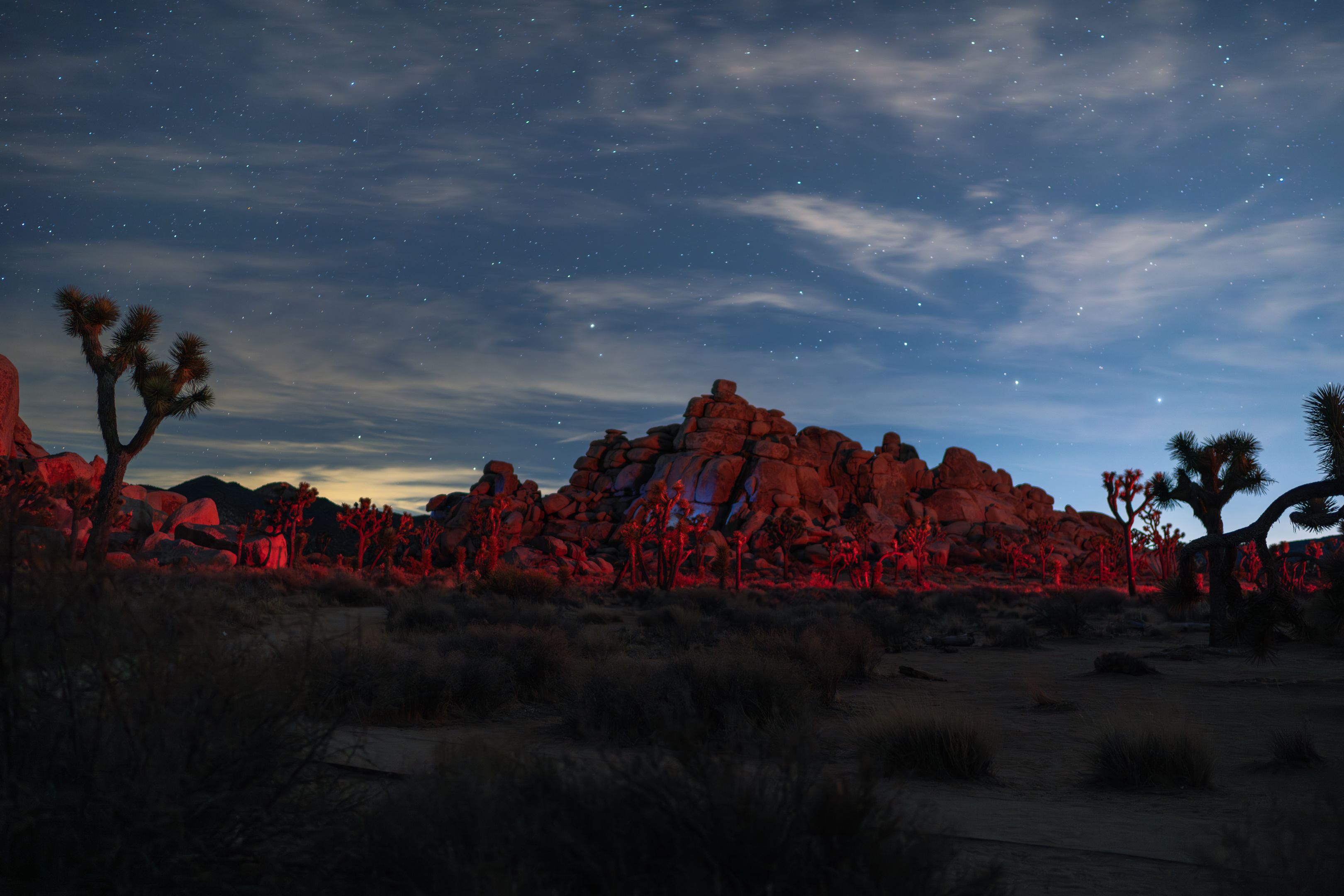 Paisaje Desértico De Joshua Tree Iluminado Por Las Estrellas Por La ...