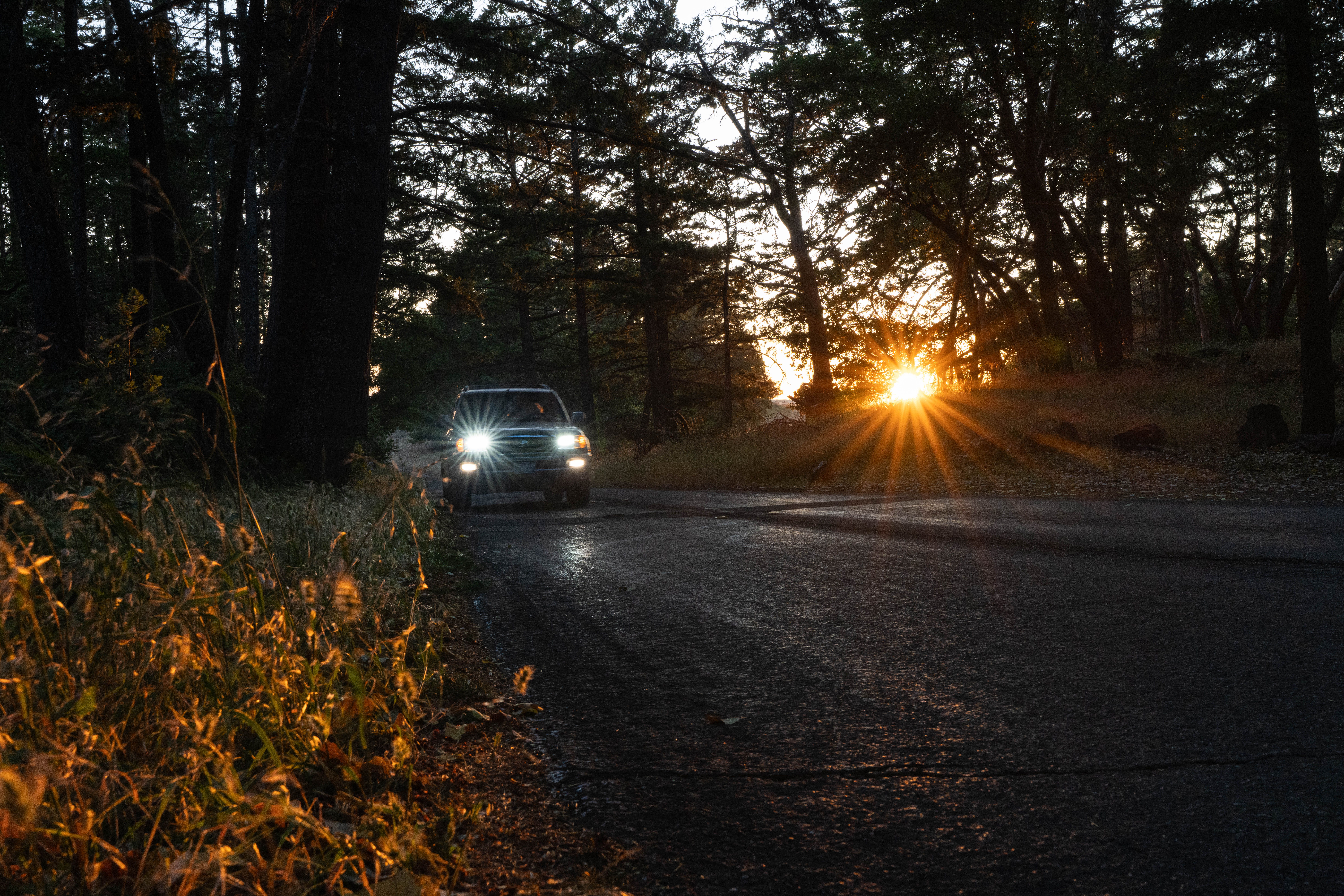 Car driving through forest at sunset · Free Stock Photo