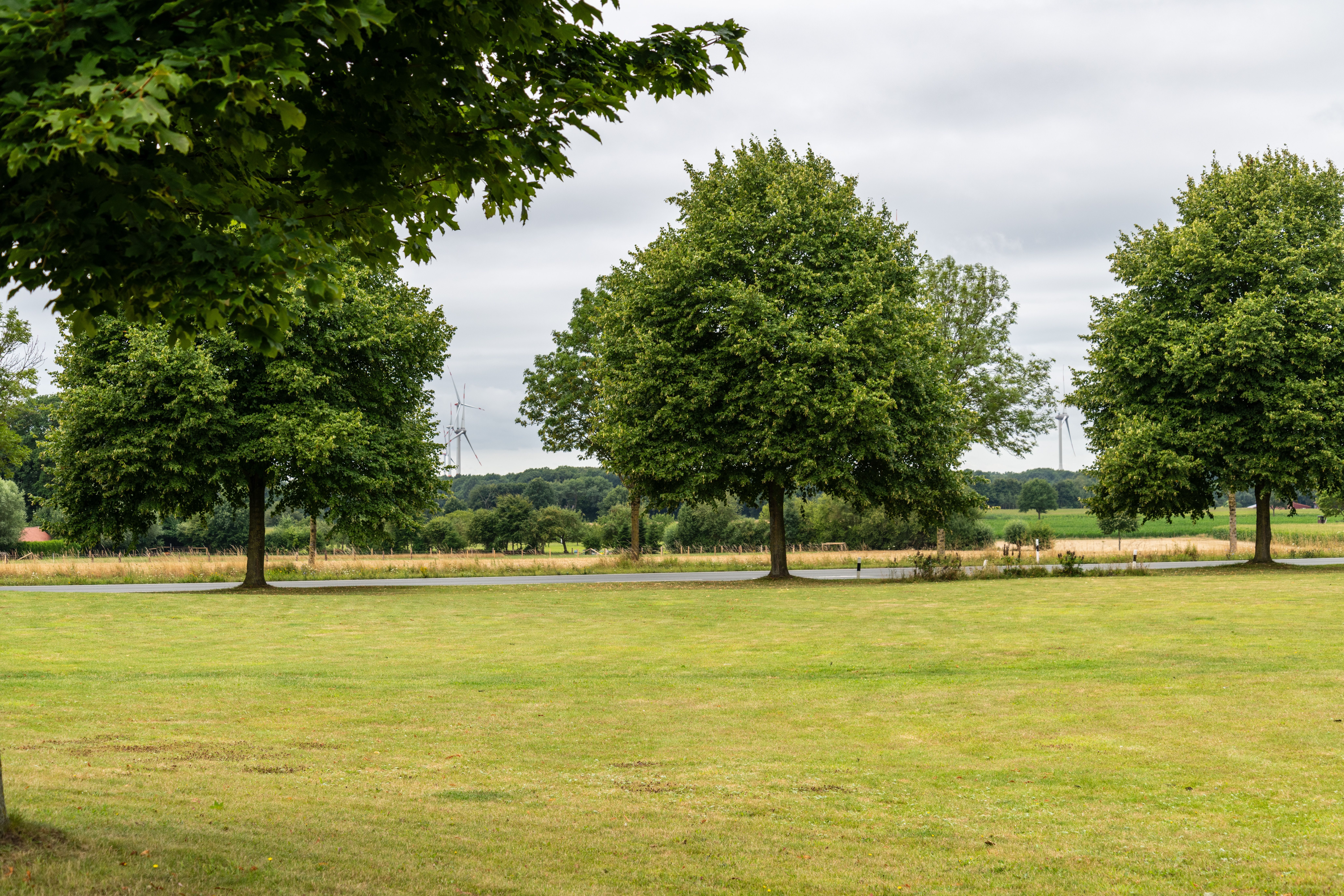 Tranquil Countryside Landscape with Trees · Free Stock Photo