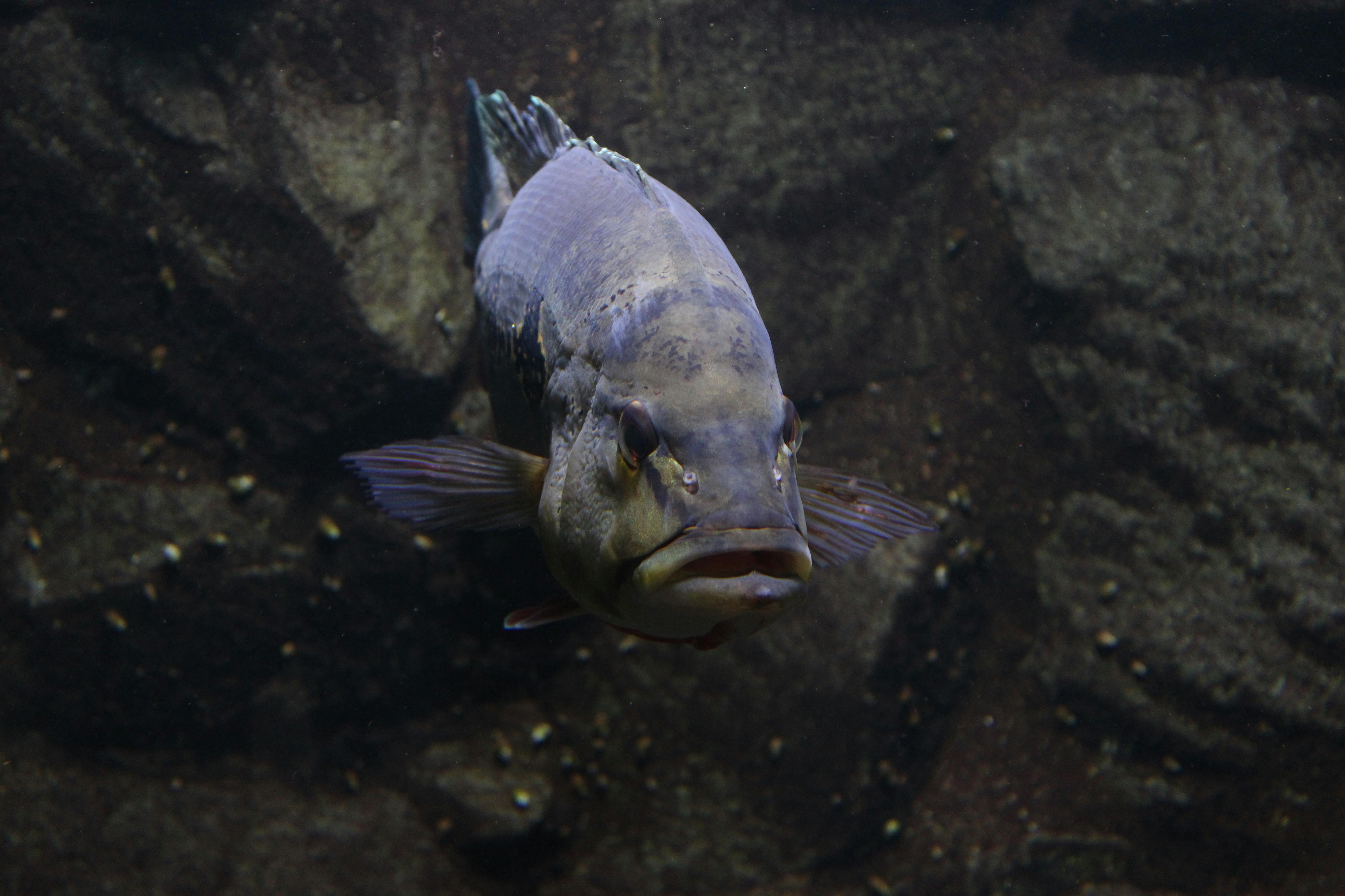 Depth Photos, Download The BEST Free Depth Stock Photos & HD Images