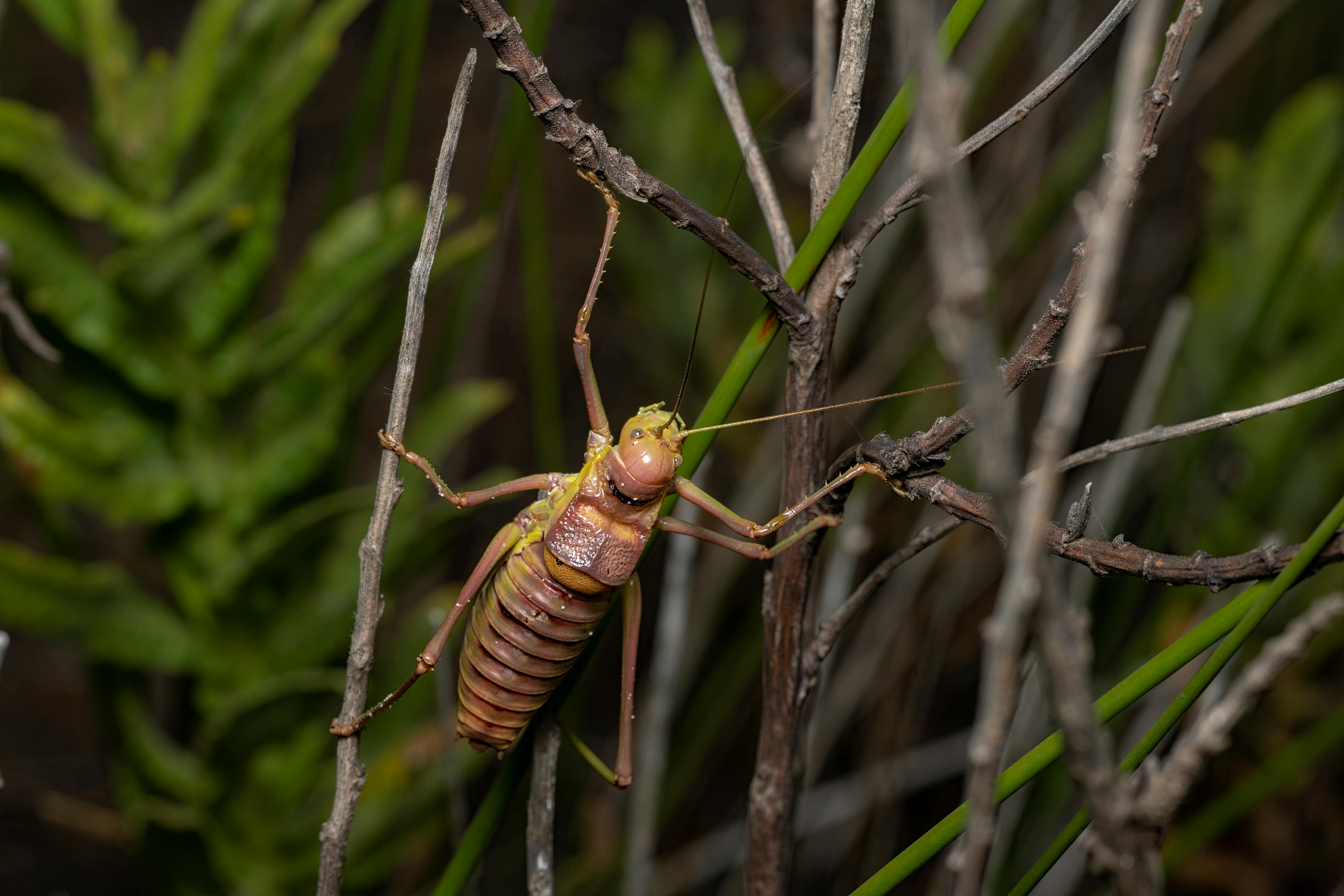 Lol高清壁纸4k Photos, Download The BEST Free Lol高清壁纸4k Stock Photos & HD Images