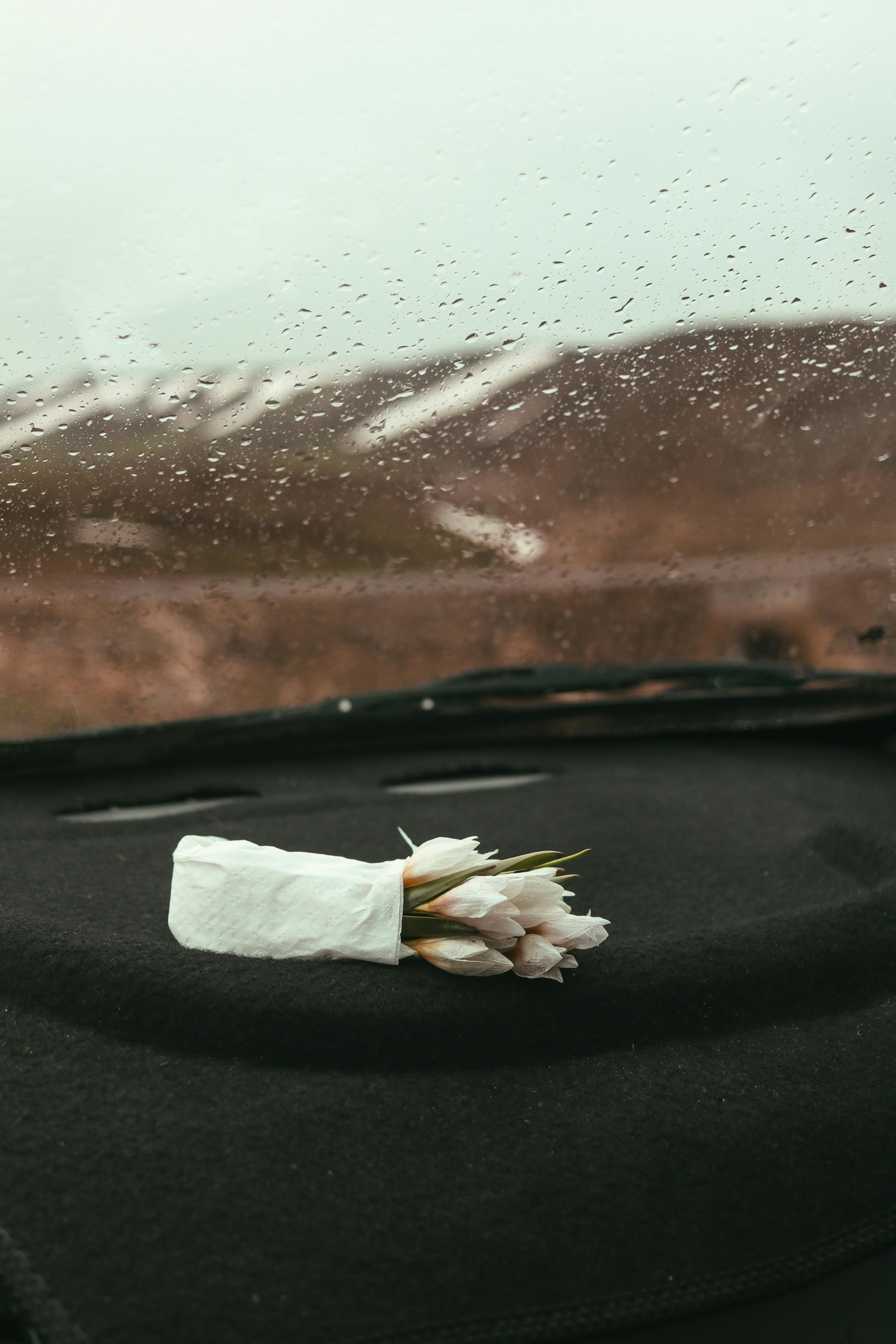 Car Tayer Photos, Download The BEST Free Car Tayer Stock Photos & HD Images