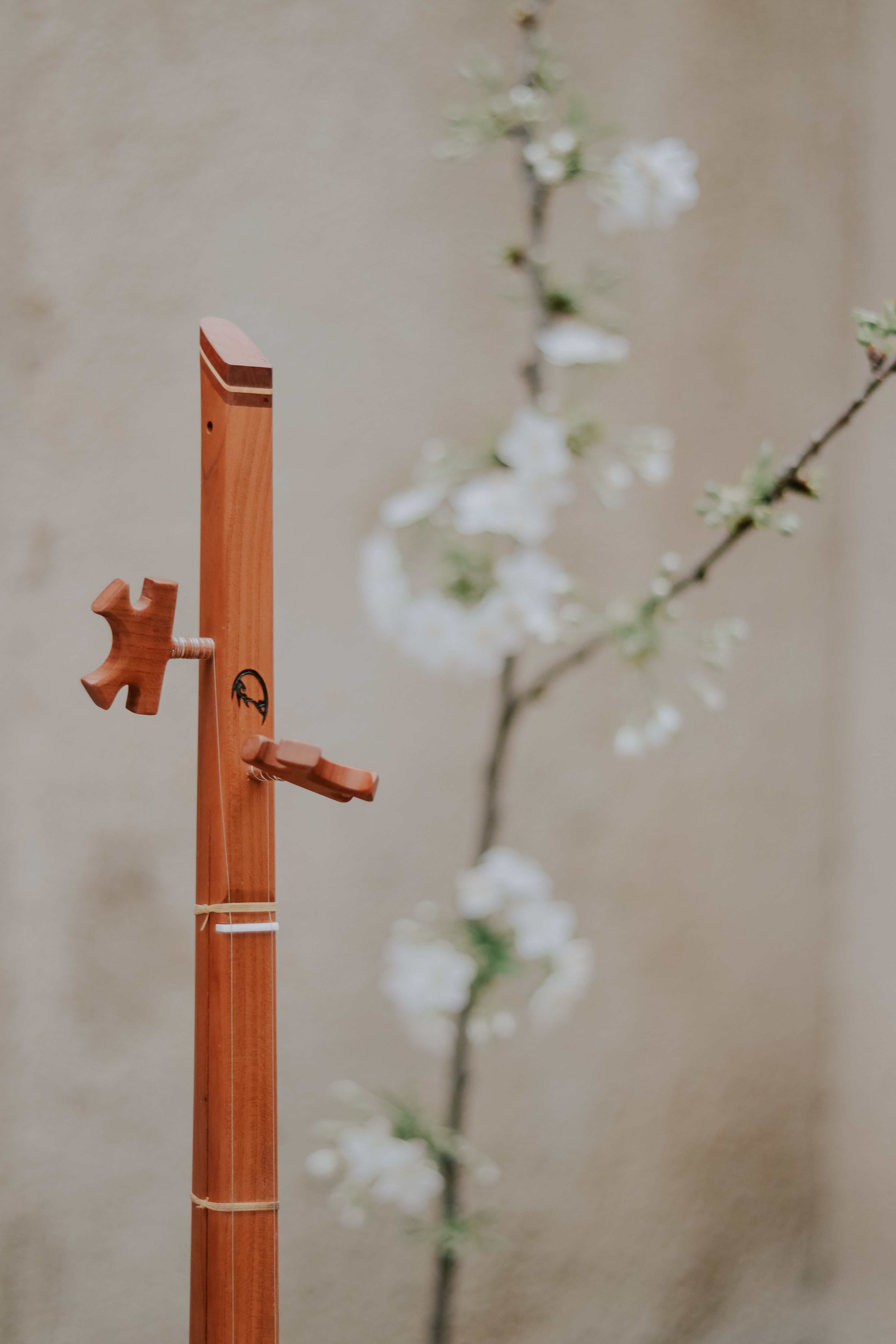 Elegant Wooden Musical Instrument with Blossom · Free Stock Photo
