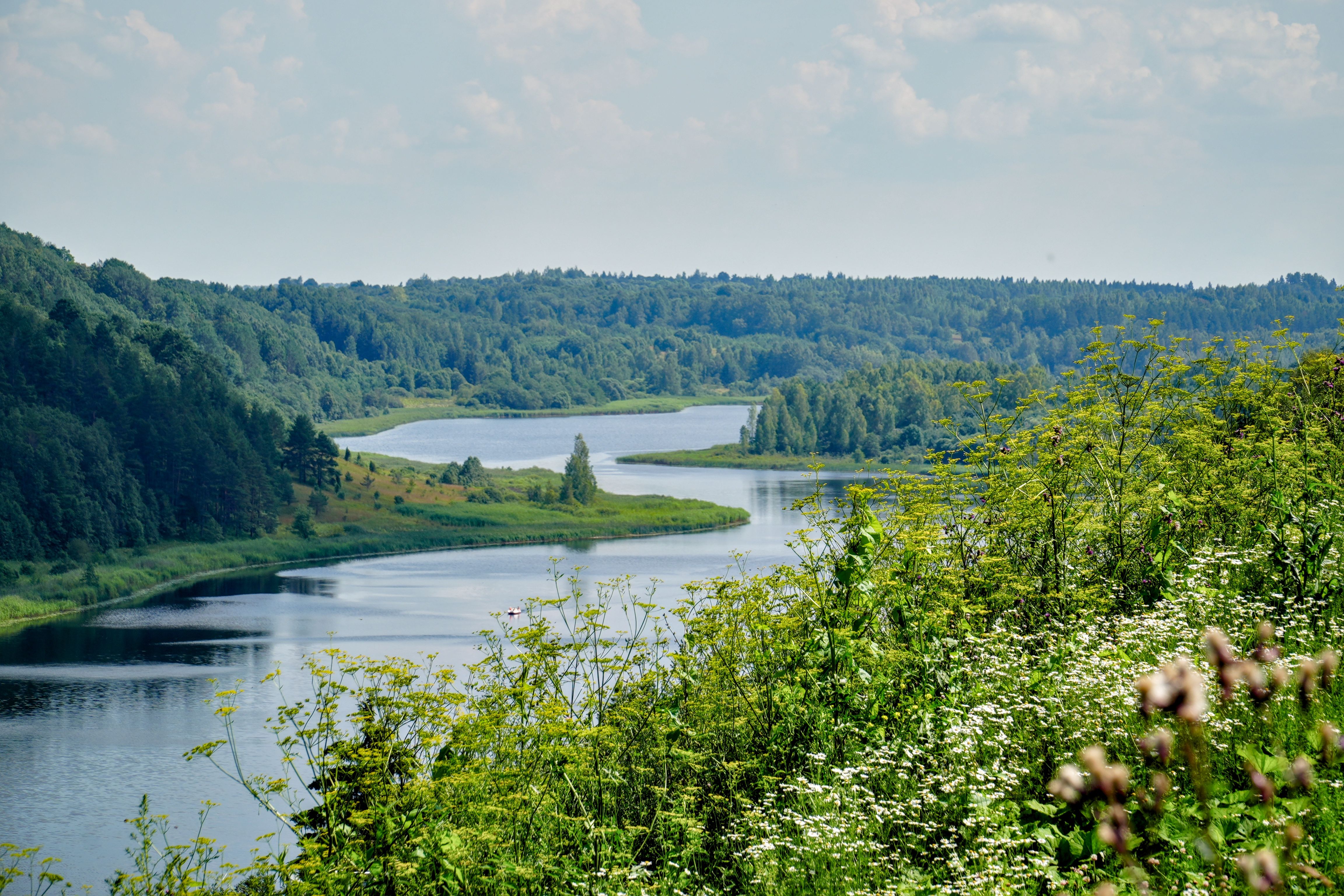 Paisaje Escénico De Verano Del Río Velikaya En Rusia · Foto de stock ...