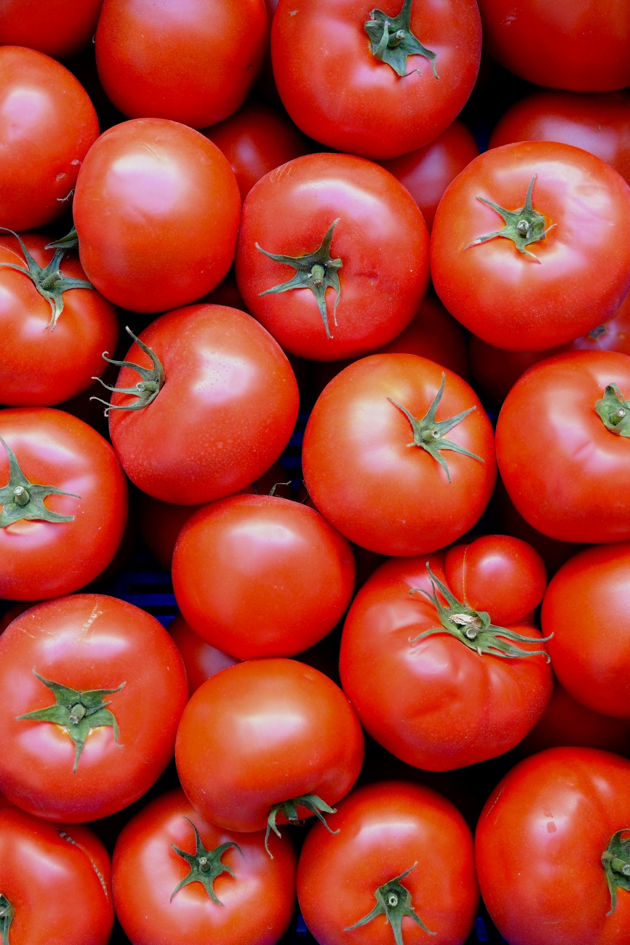 700+ Foto Stw+montok+bugil Terbaik · Unduh Gratis 100% · Foto Stok Pexels