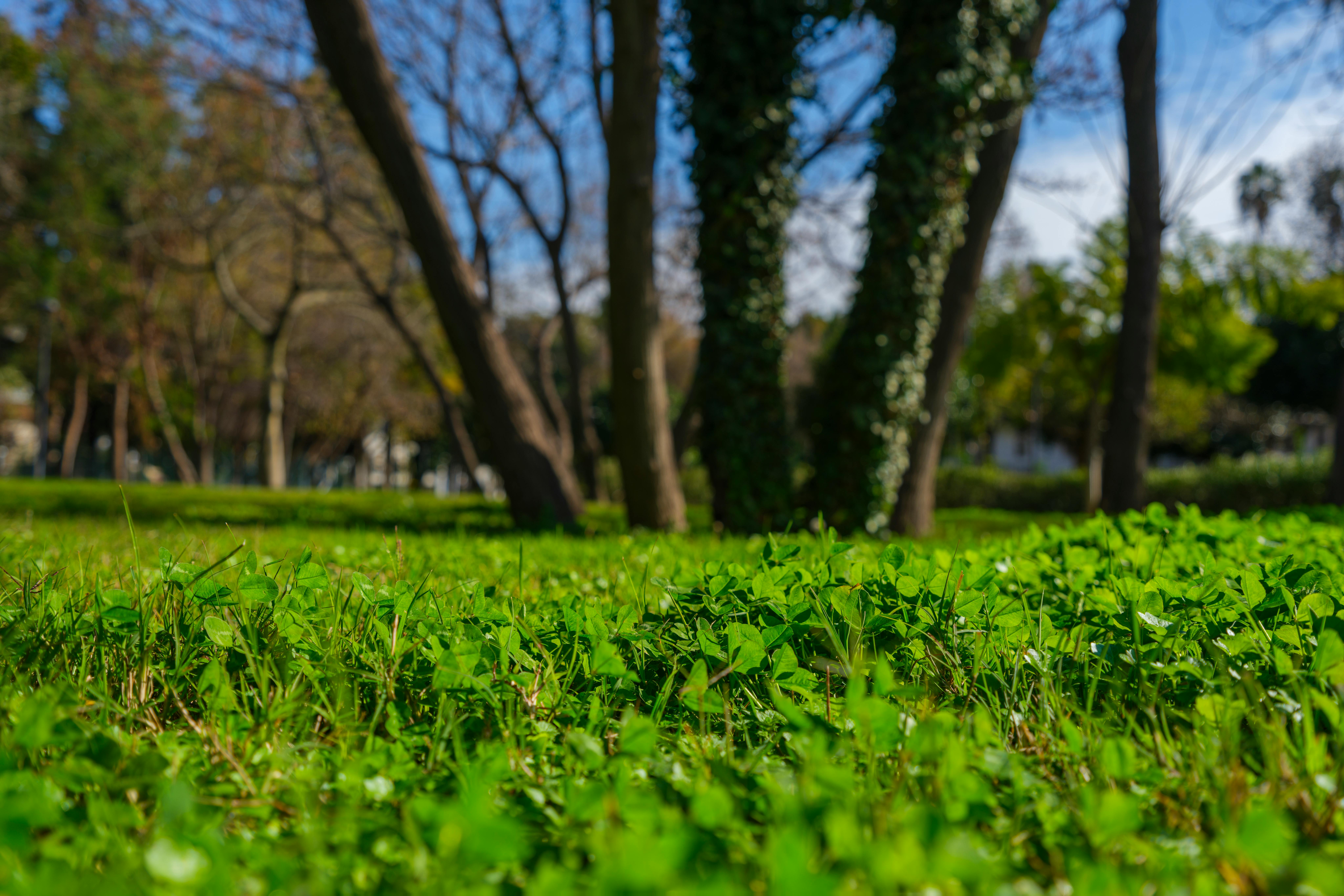 Ground With Png Background Photos, Download The BEST Free Ground With ...