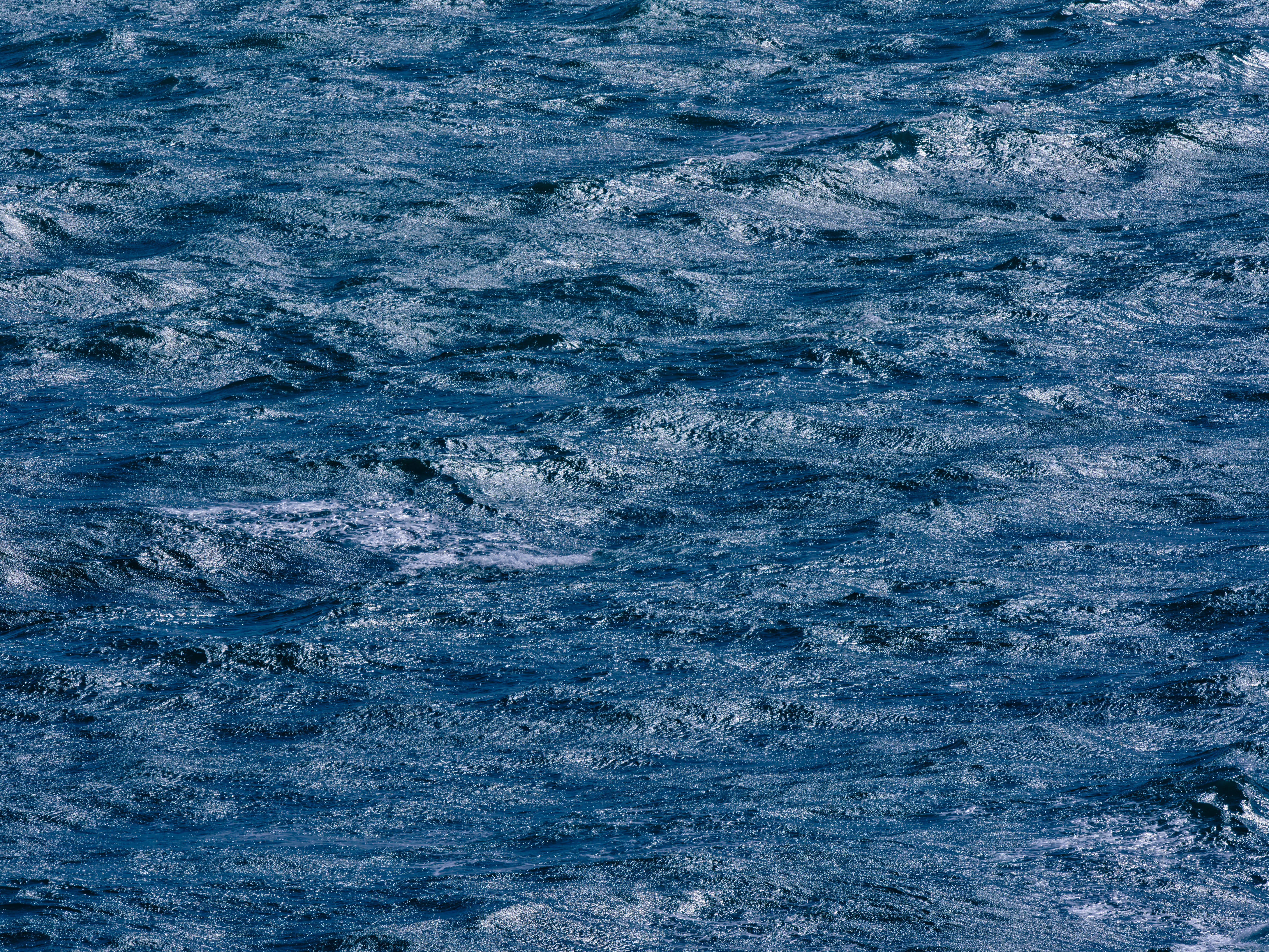 Dynamic Ocean Waves on a Windy Day · Free Stock Photo