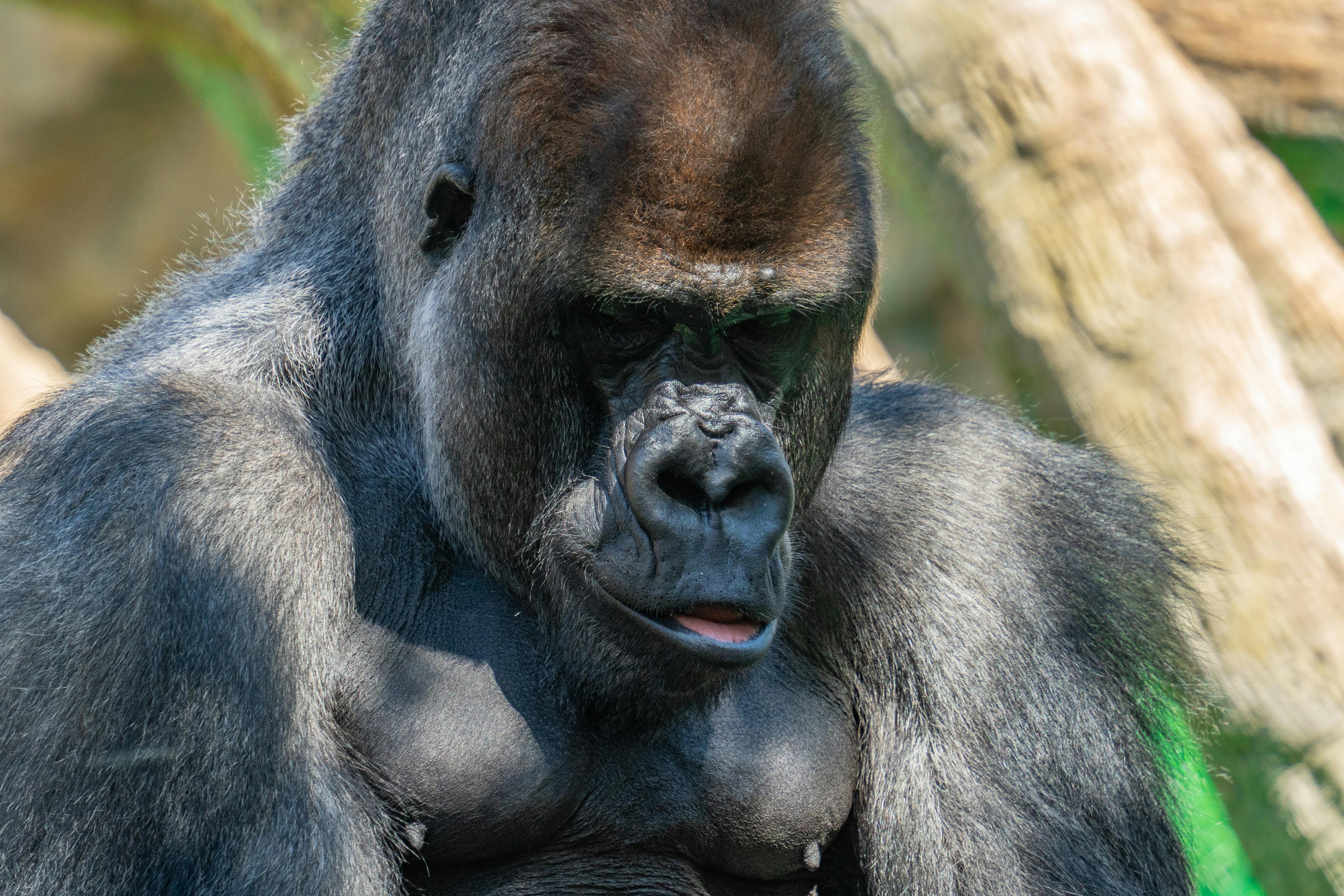 Palabras En Espanol Photos, Download The BEST Free Palabras En Espanol ...