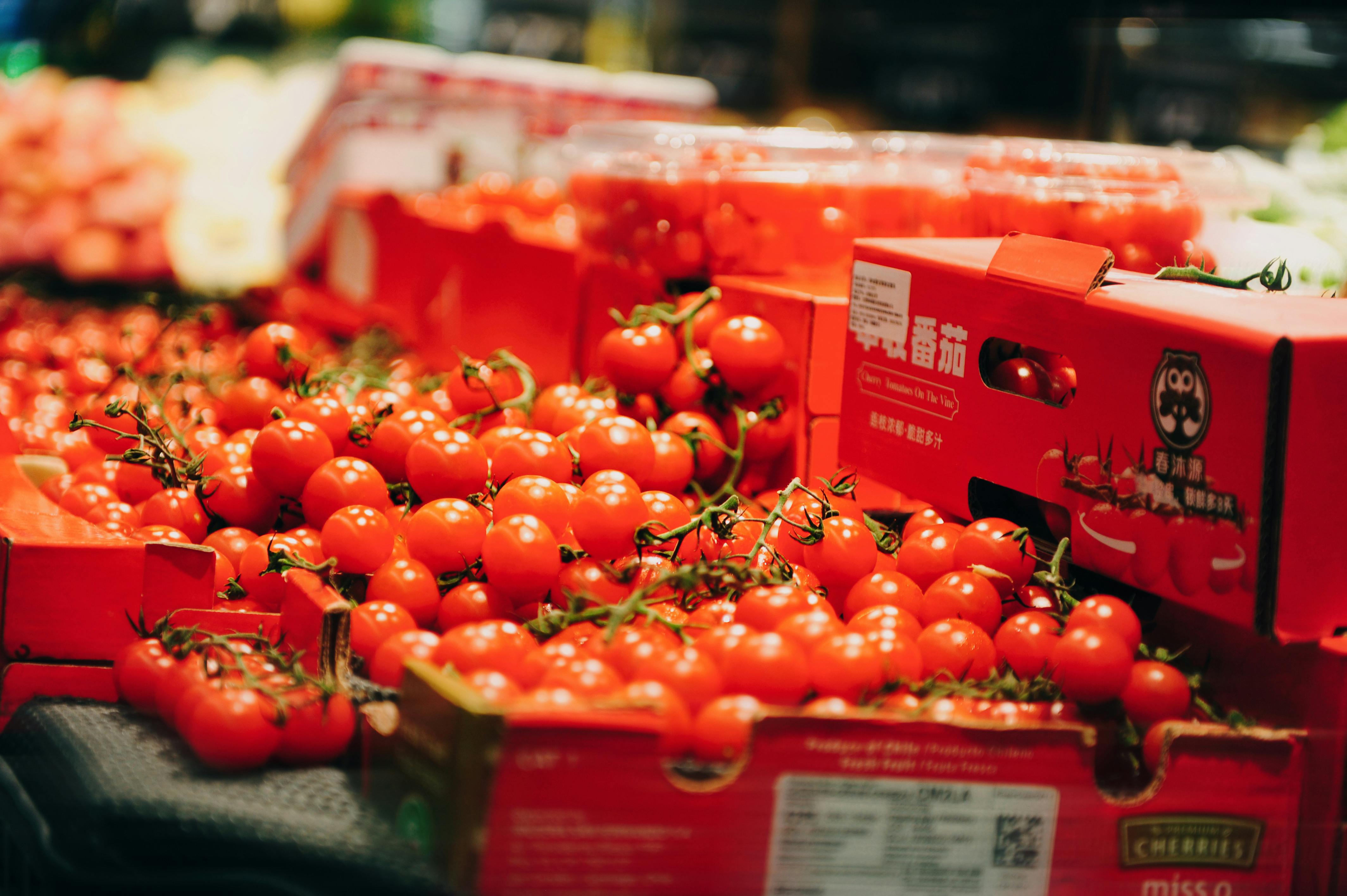 Sourcing Photos, Download The BEST Free Sourcing Stock Photos & HD Images