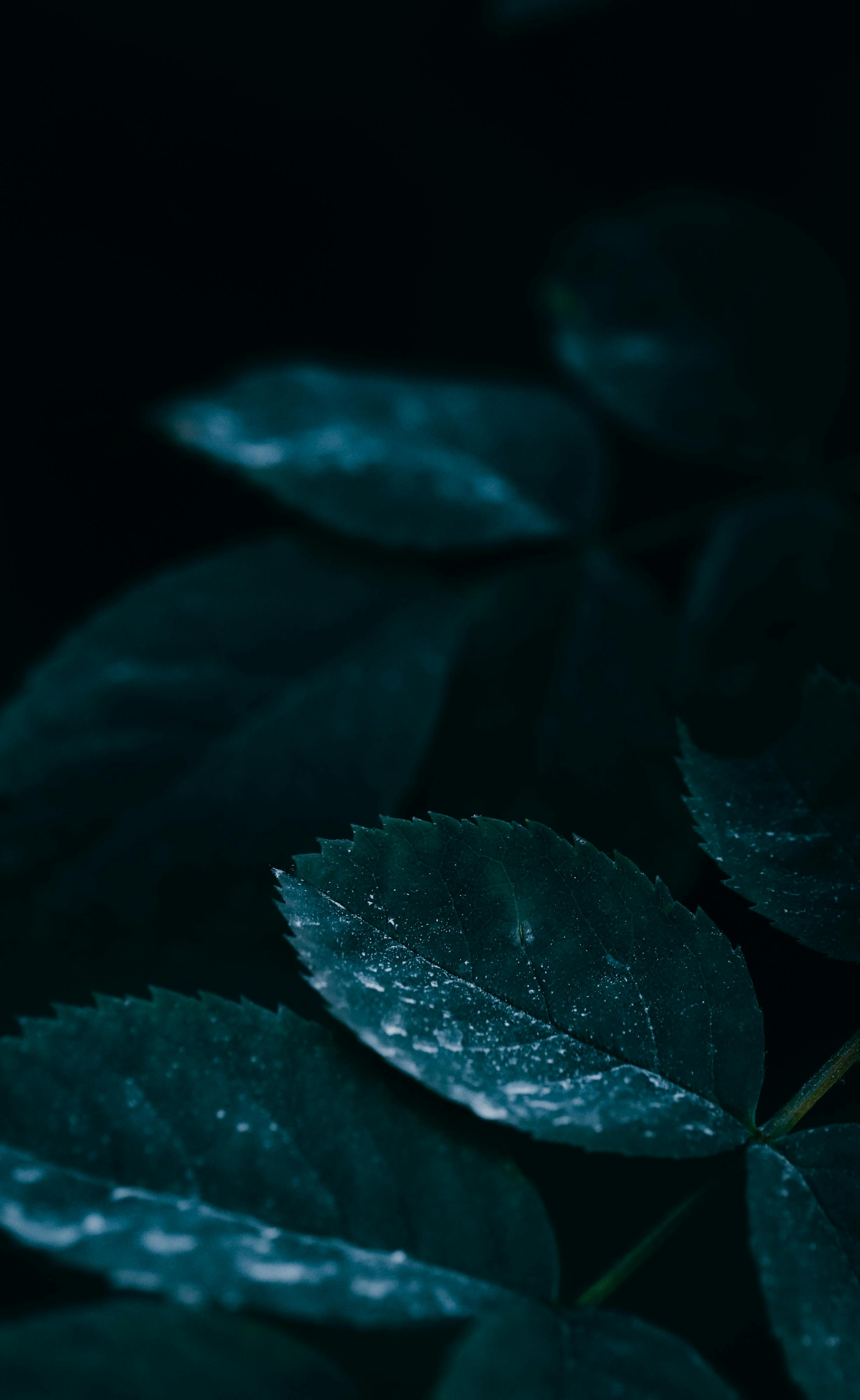 Subtle Background Photos, Download The BEST Free Subtle Background ...