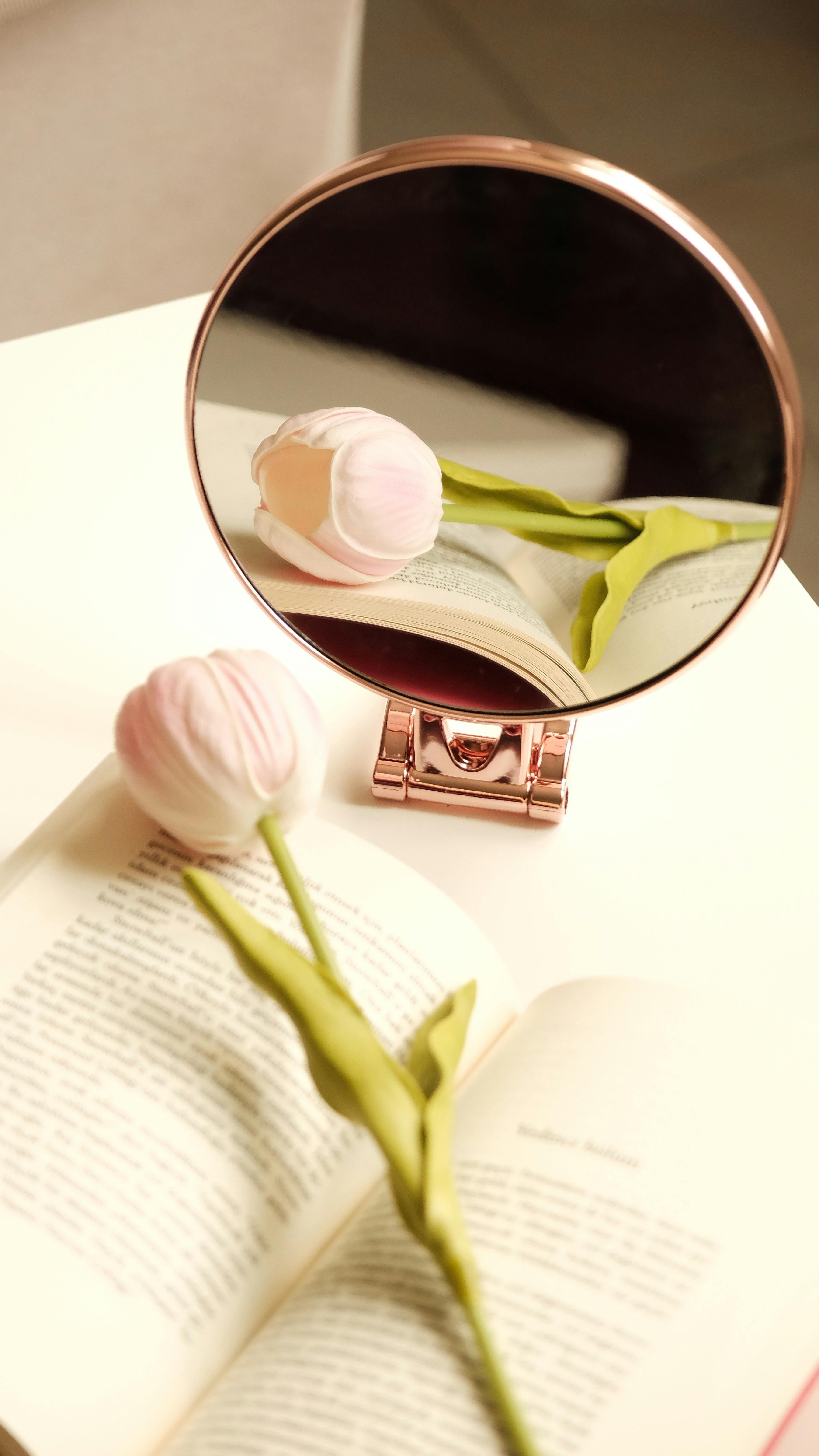 2,901,549+以上の無料女性のヌード画像