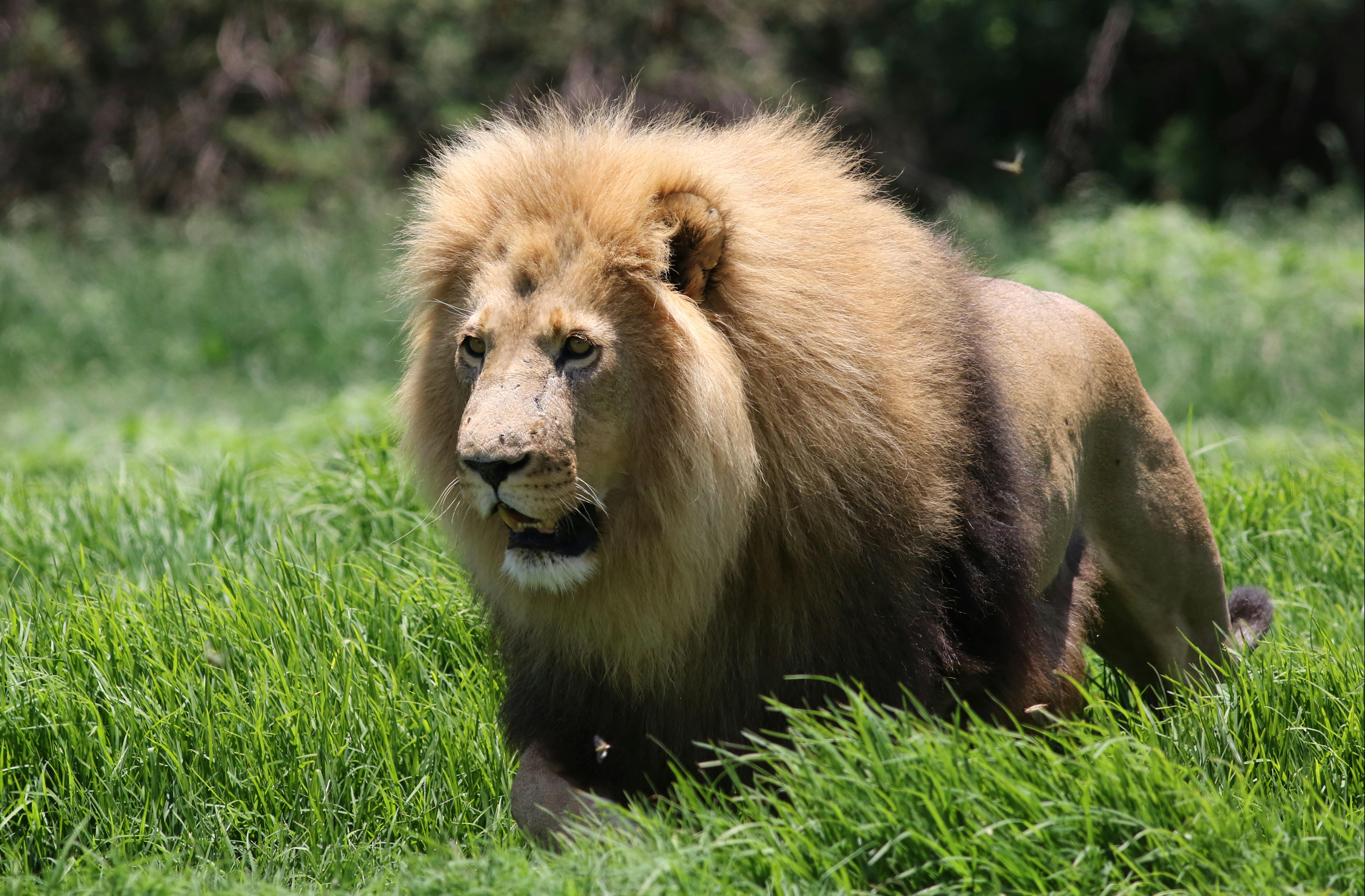 Roaming Charges Photos, Download The BEST Free Roaming Charges Stock ...