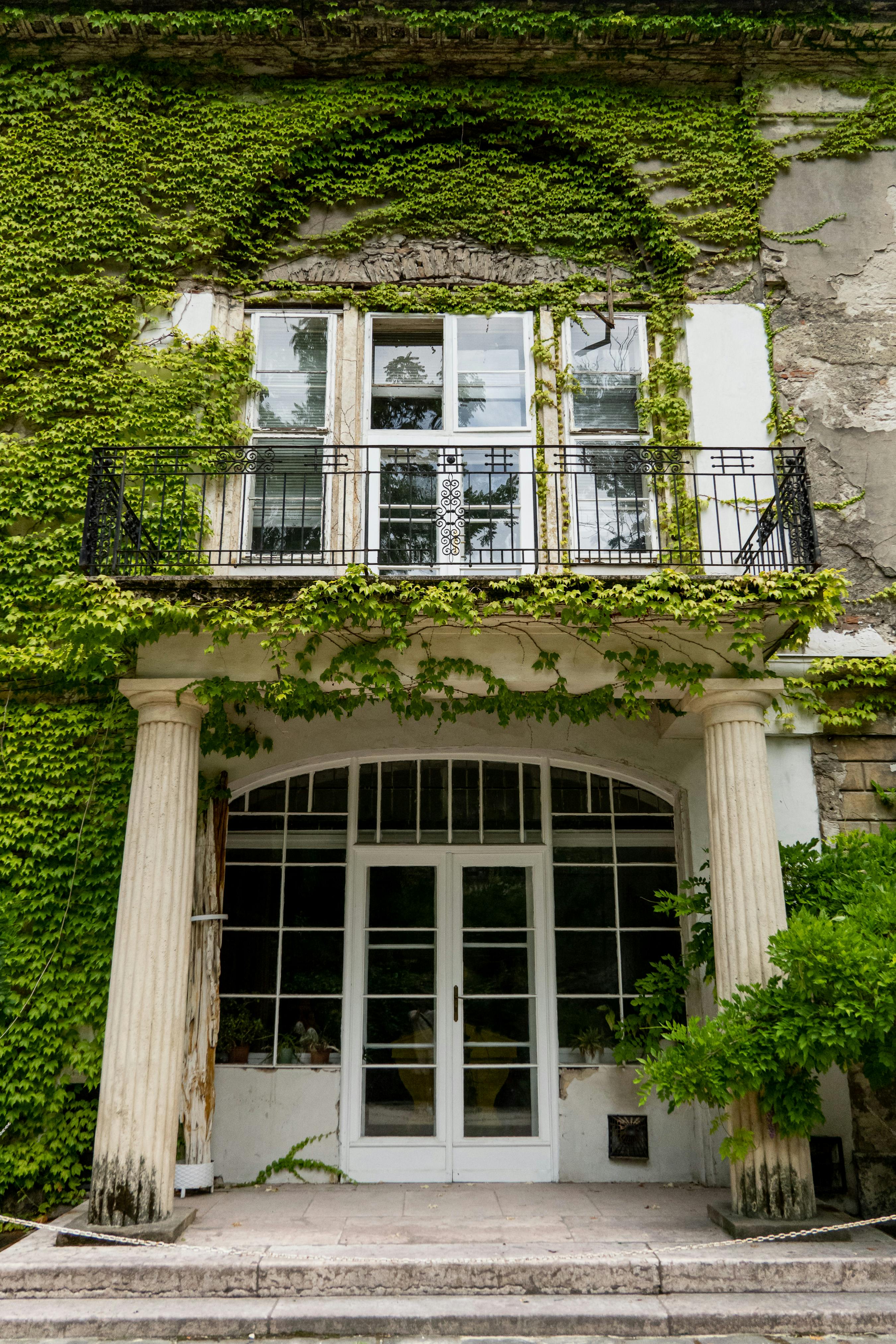 Myanmar University Photos, Download The BEST Free Myanmar University ...