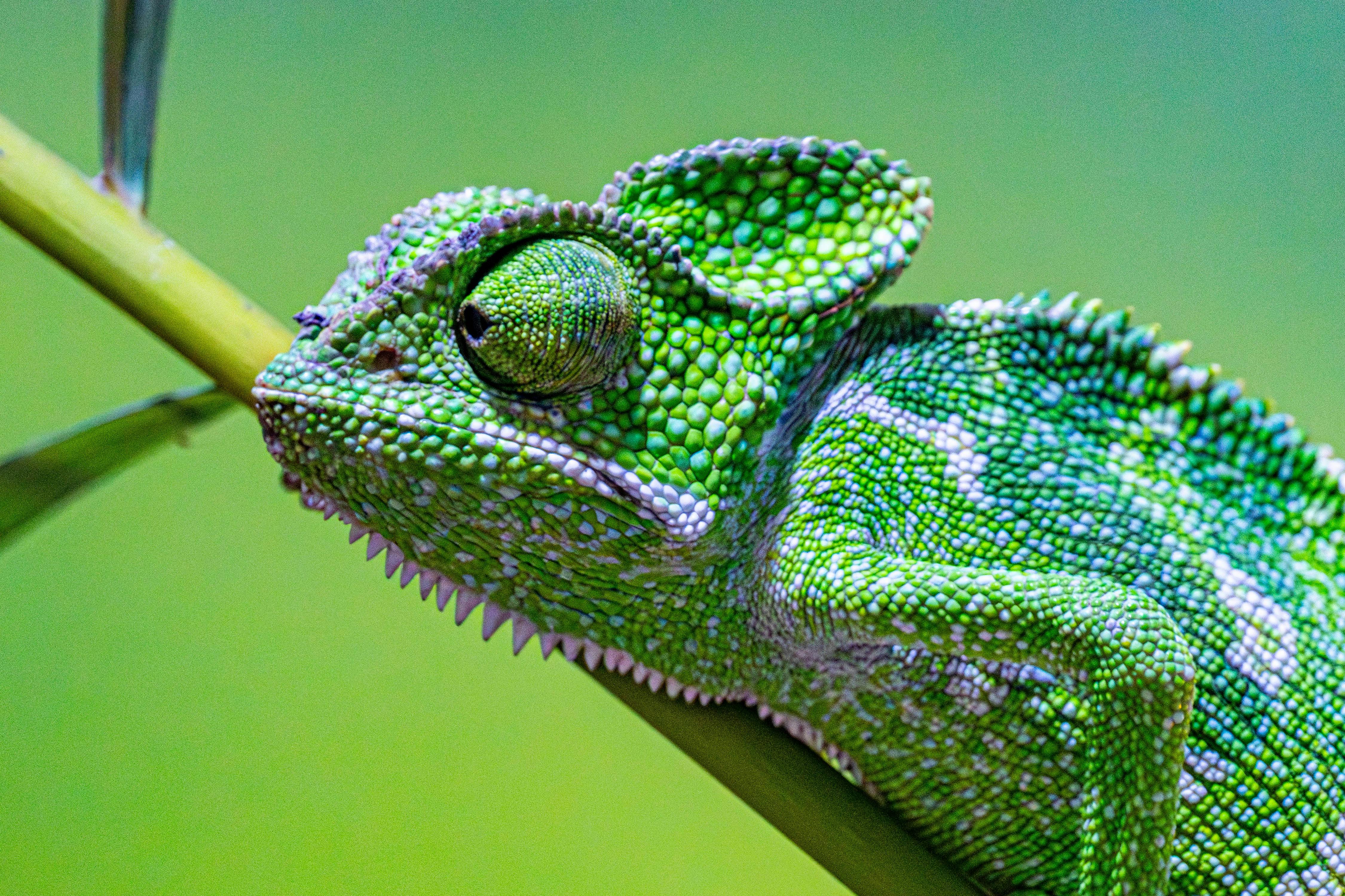 Frontend Background Photos, Download The BEST Free Frontend Background ...