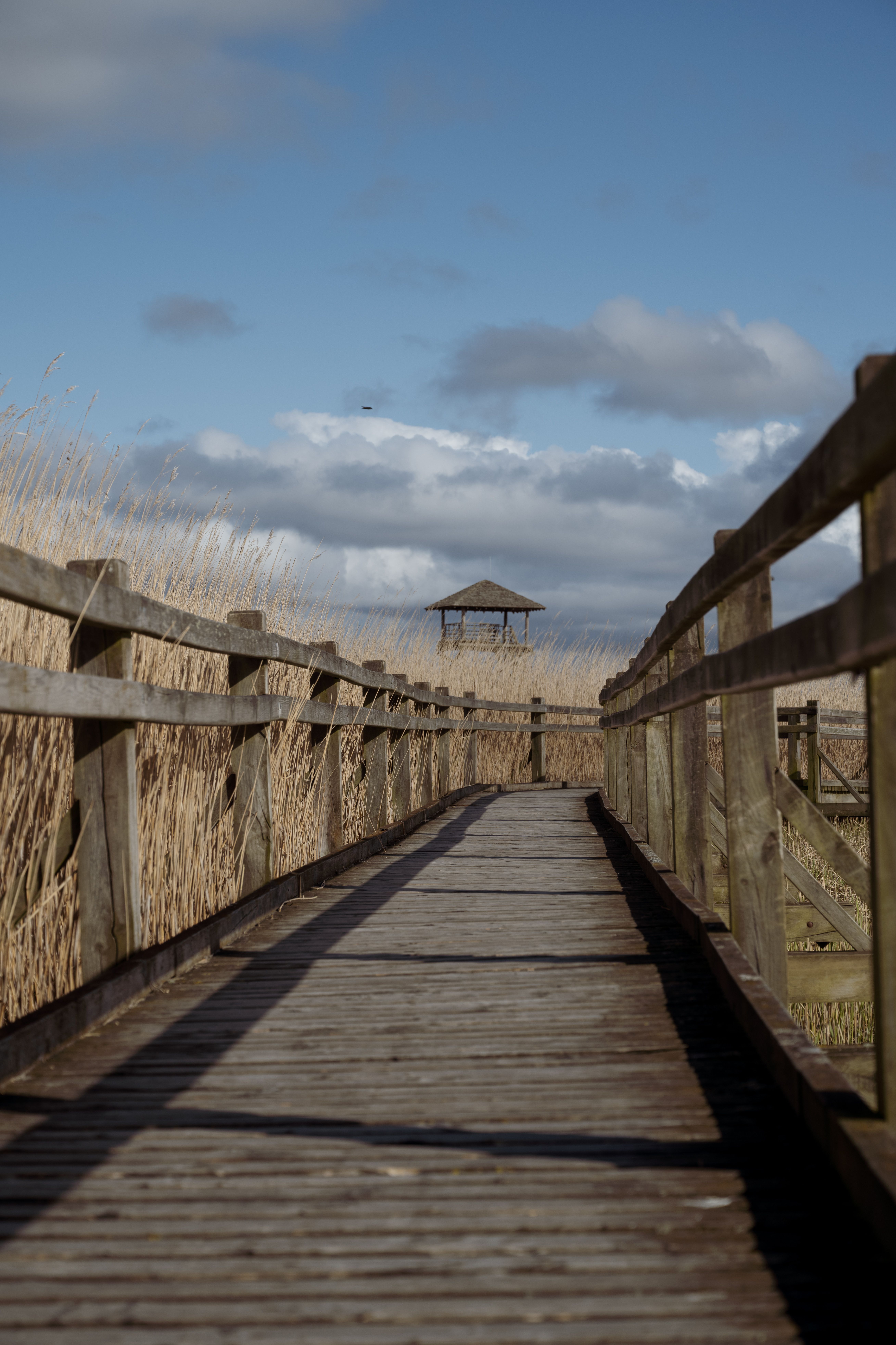 Wooden Walkway Leading to Observation Tower · Free Stock Photo