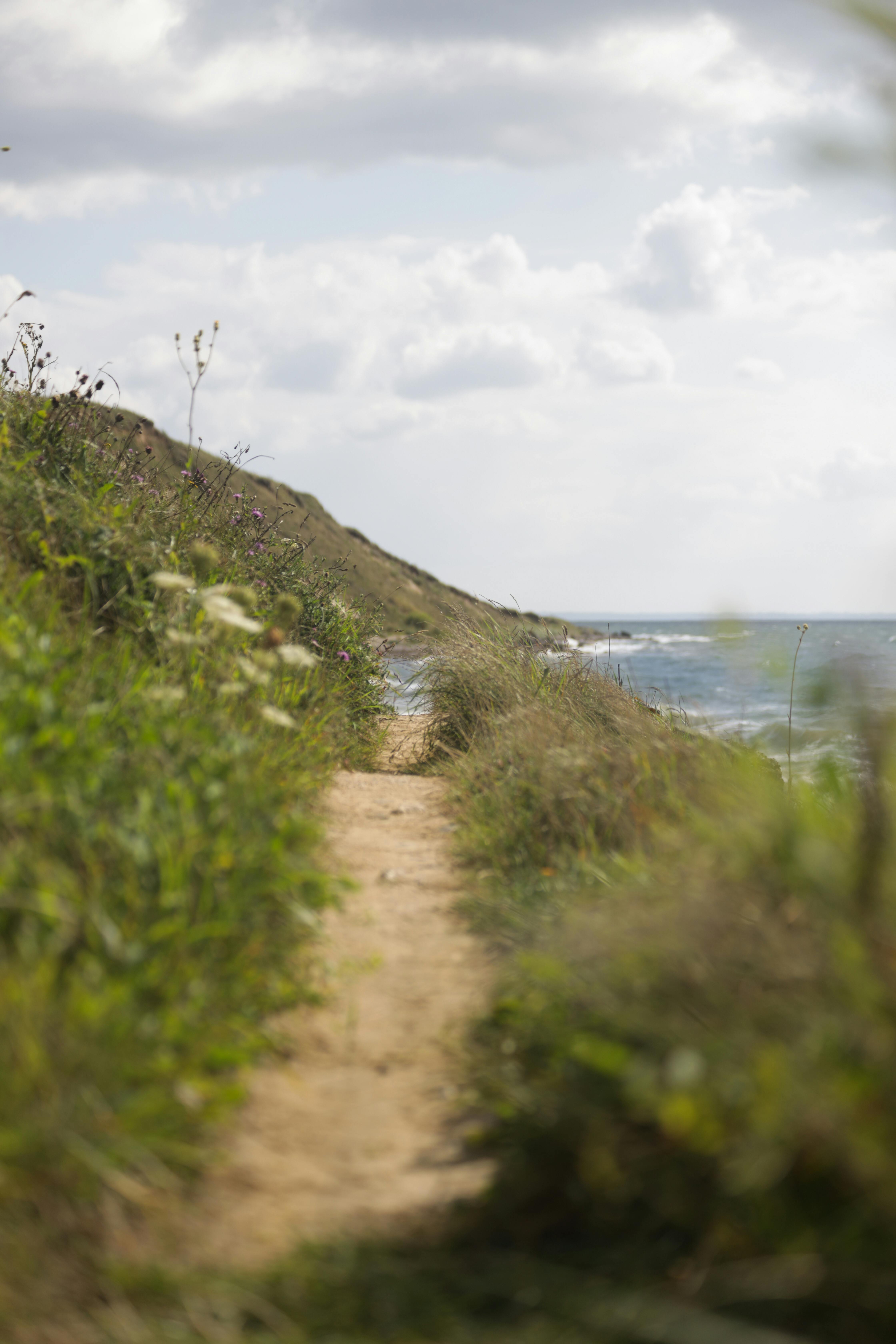 Dunes Okosystem Photos, Download The BEST Free Dunes Okosystem Stock ...