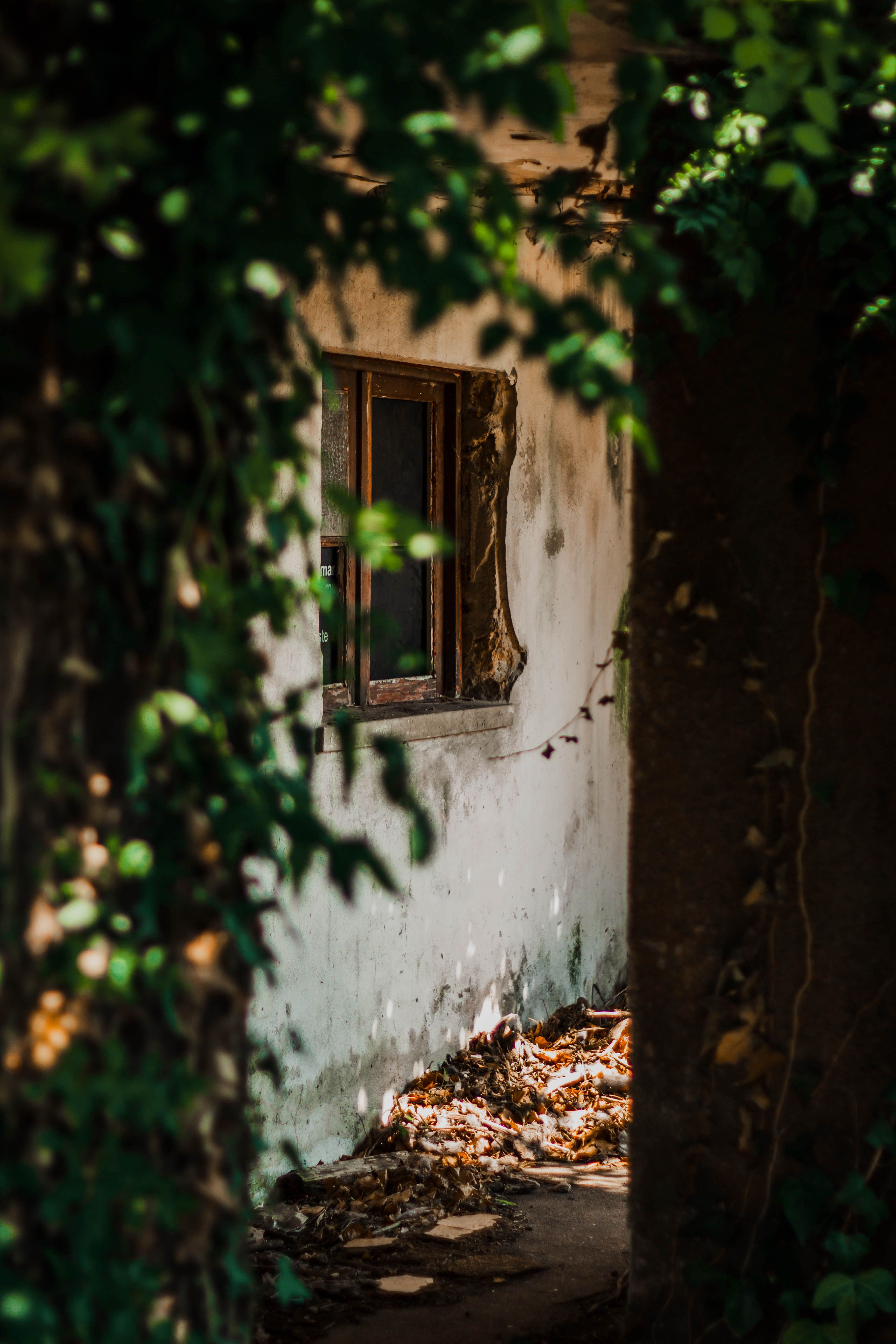 Abandoned Building with Overgrown Foliage · Free Stock Photo