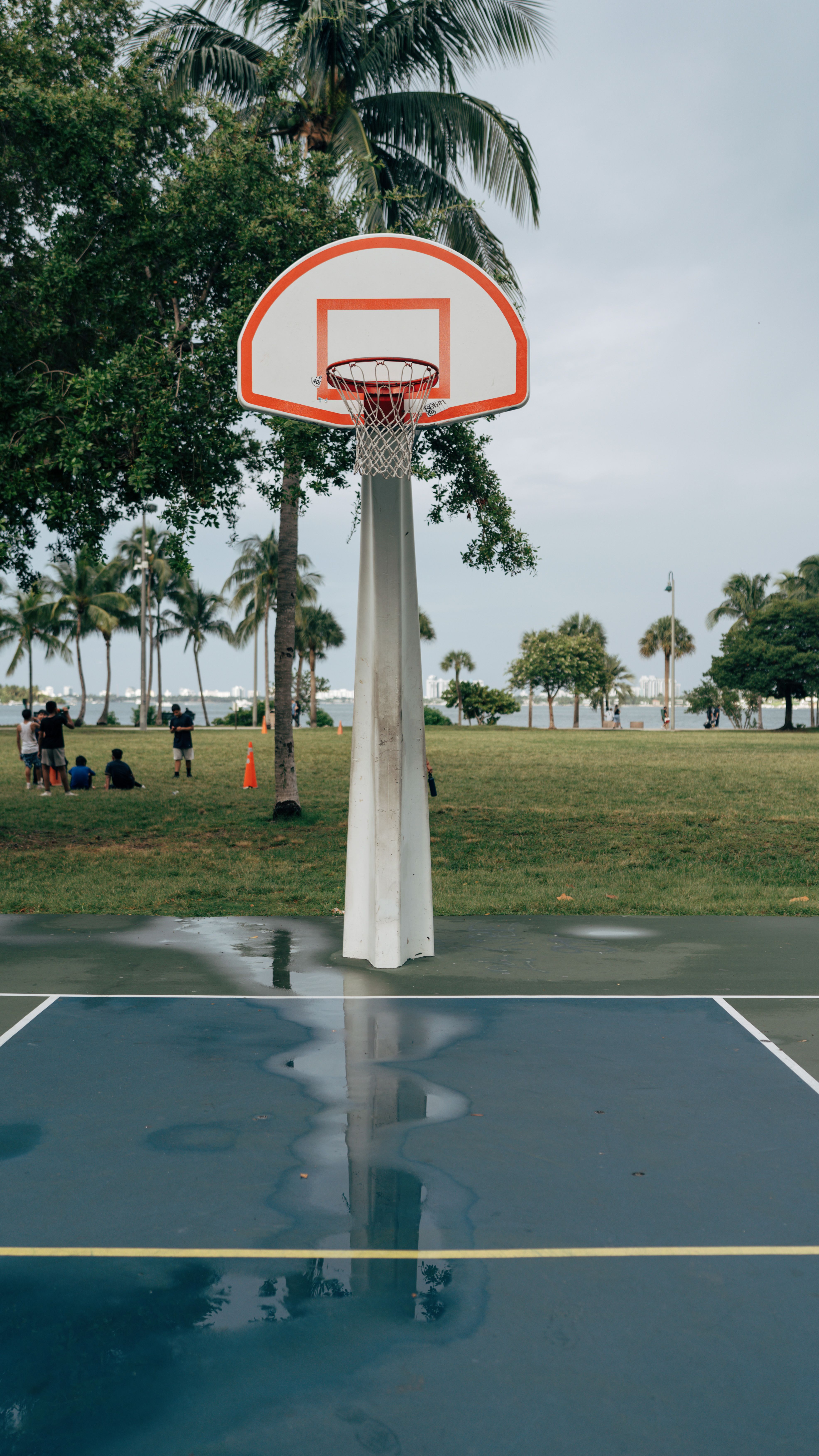 Outdoor Basketball Hoop in a Scenic Park Setting · Free Stock Photo
