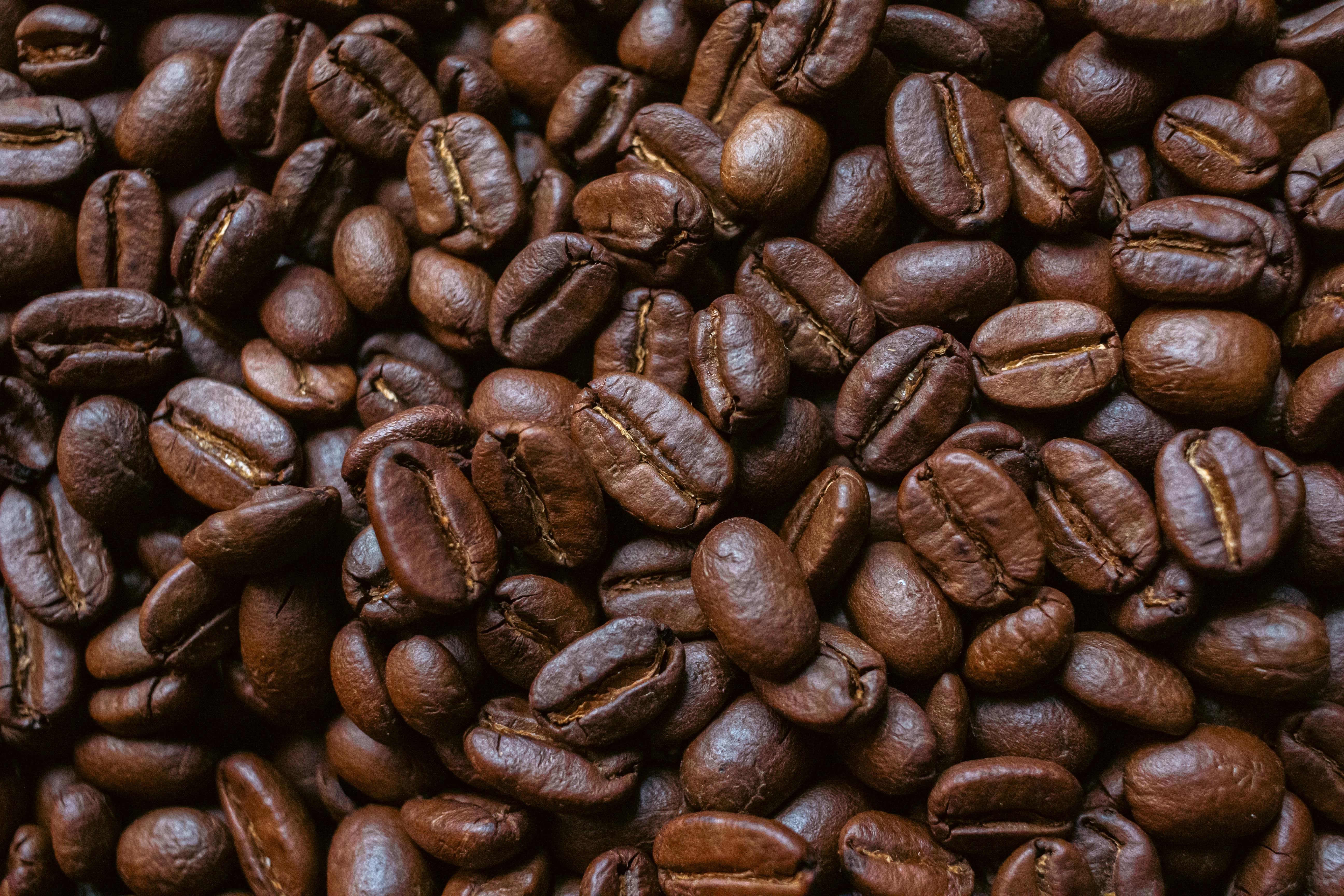 Coffee Background Photos, Download The BEST Free Coffee Background ...