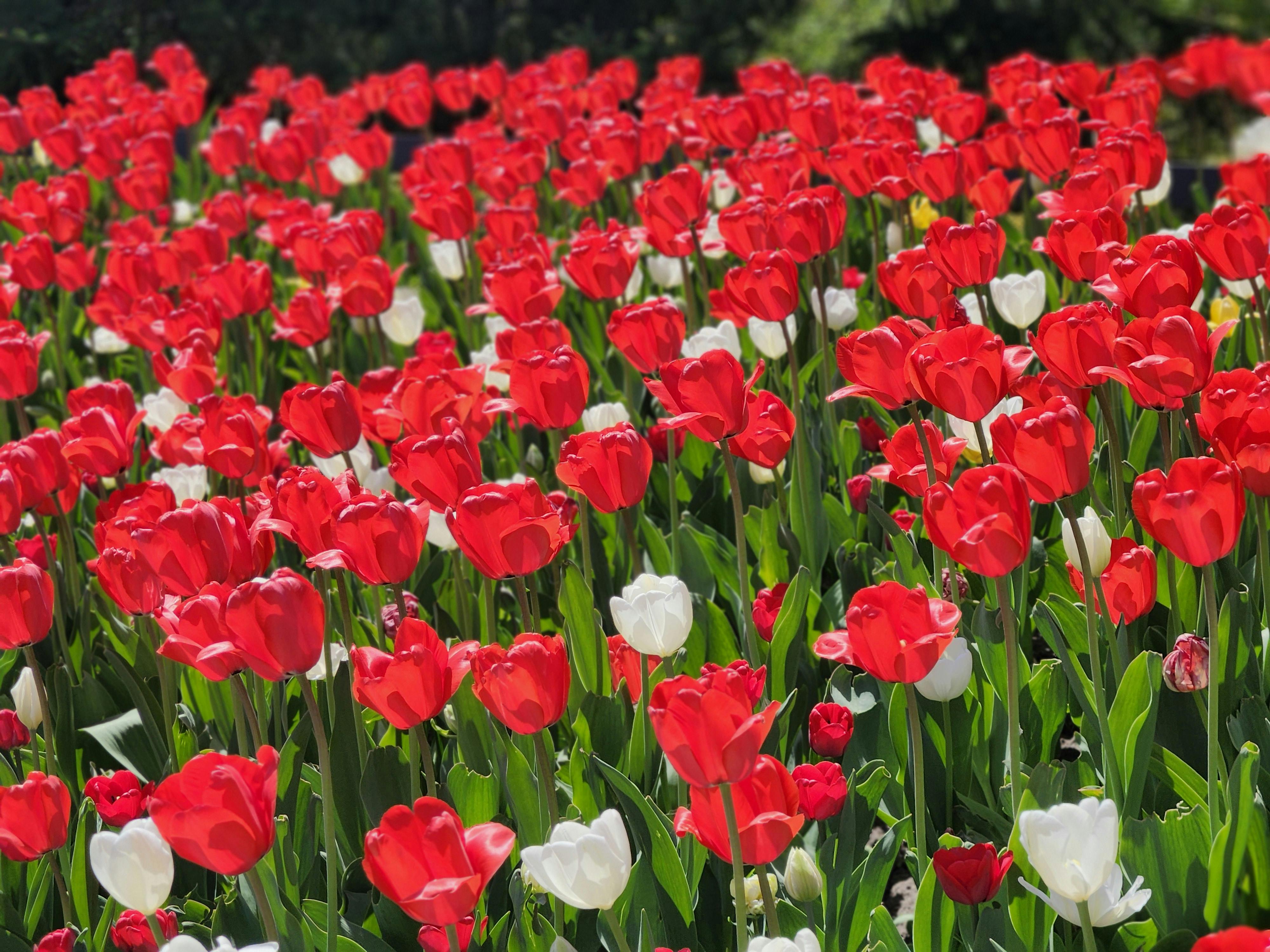 Roommates Toronto Photos, Download The BEST Free Roommates Toronto ...