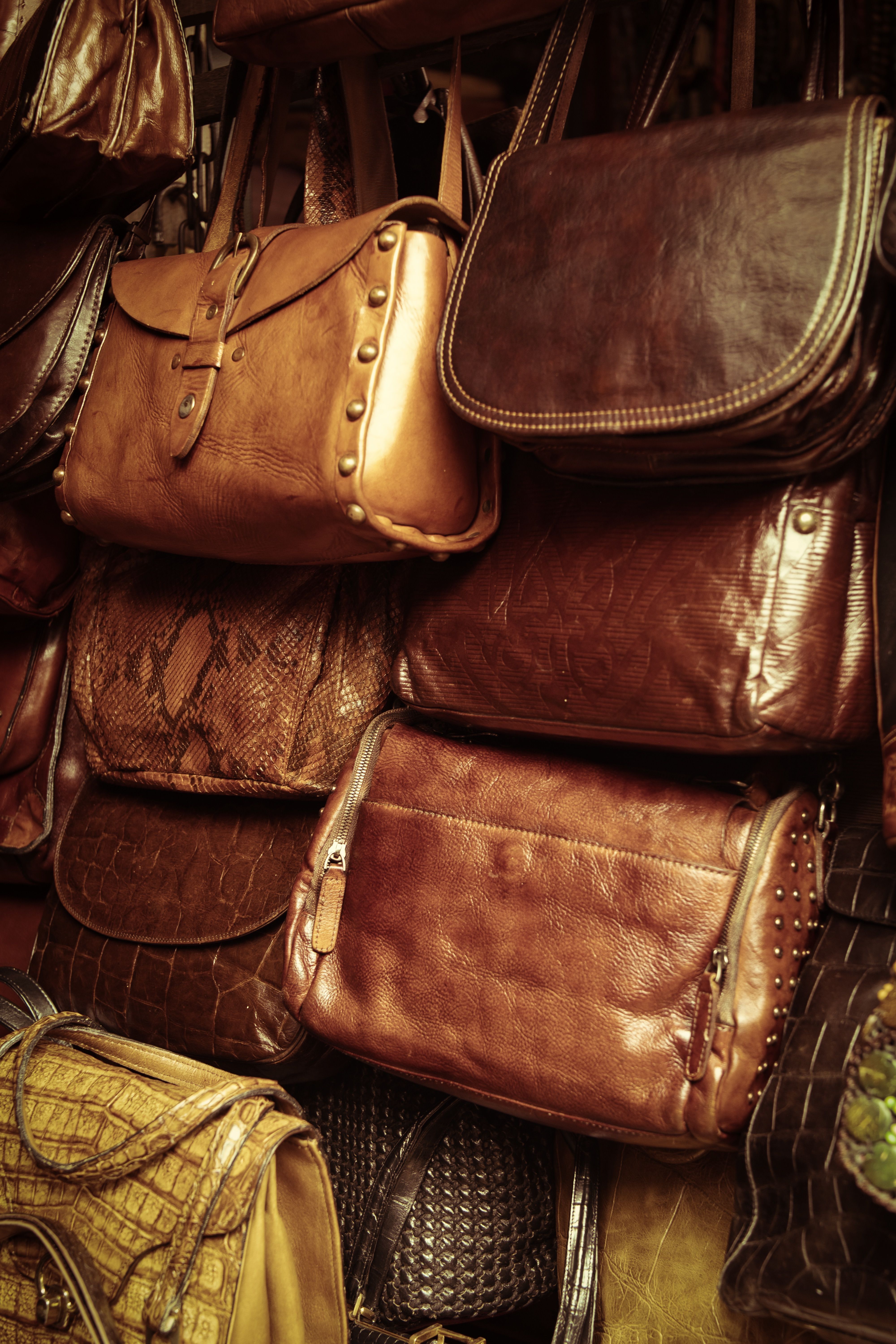Fashion Purses Photos, Download The BEST Free Fashion Purses Stock ...