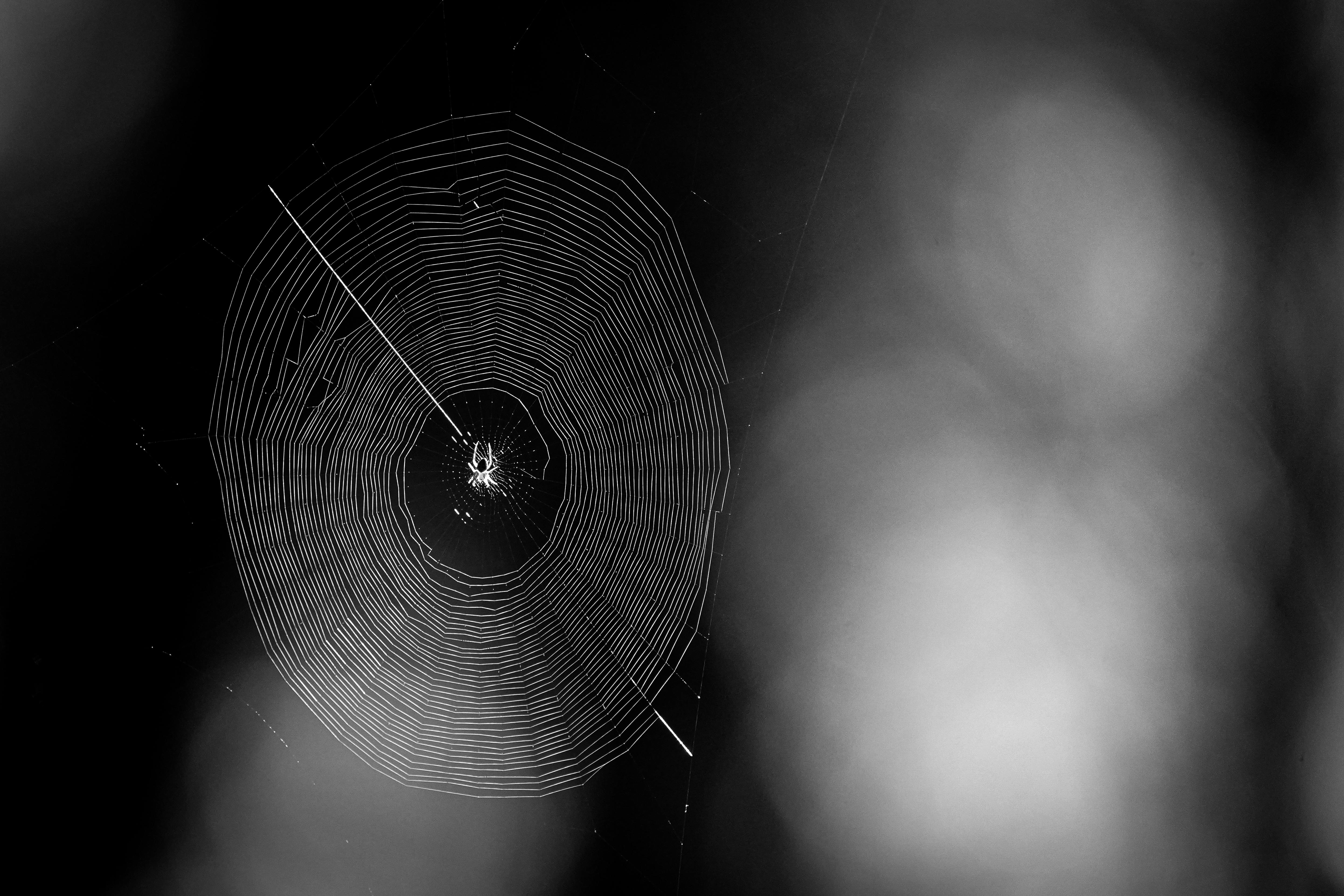 Circle Photo Photos, Download The BEST Free Circle Photo Stock Photos ...