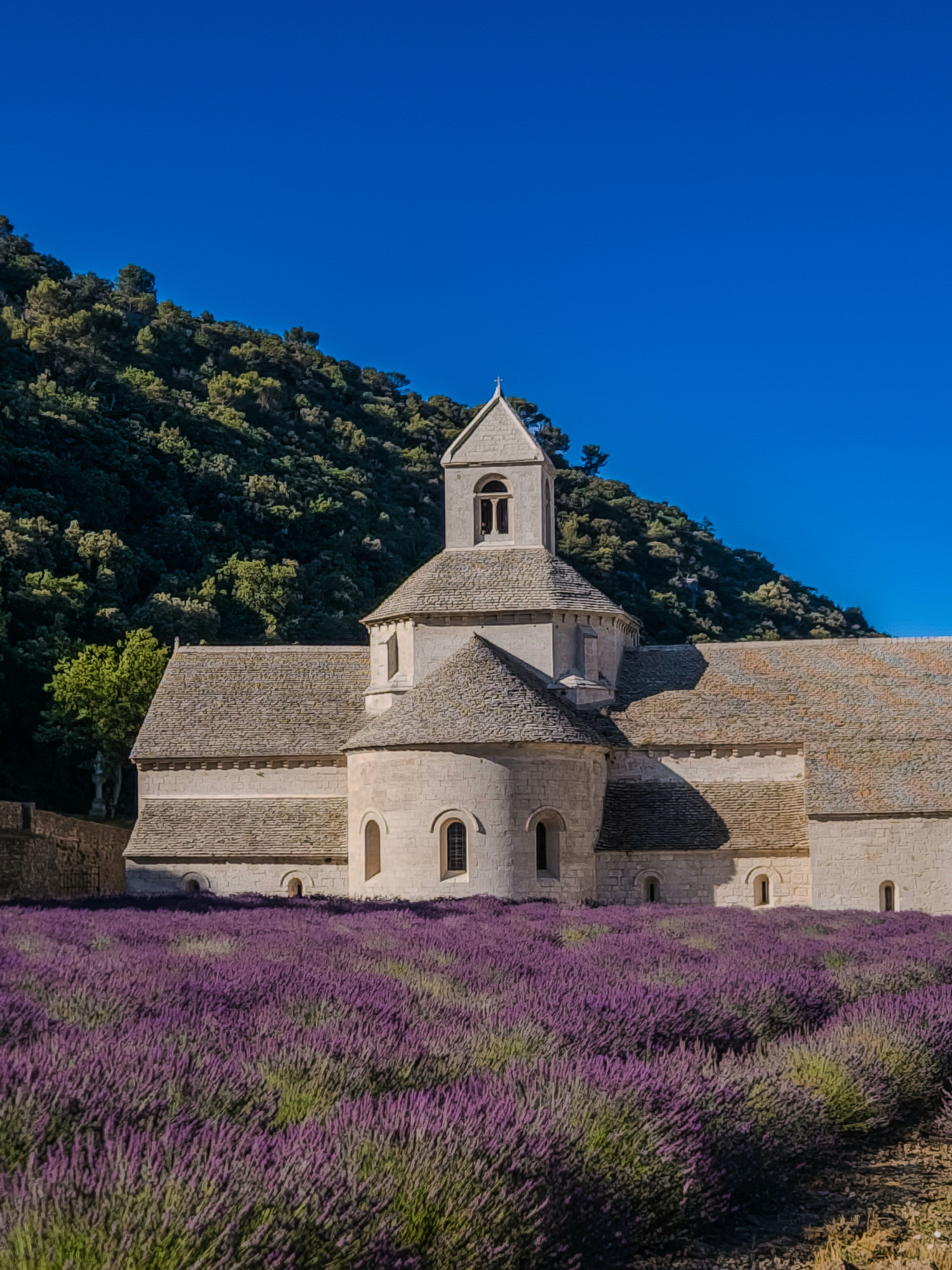 Abbey of Sénanque Surrounded by Lavender Fields · Free Stock Photo