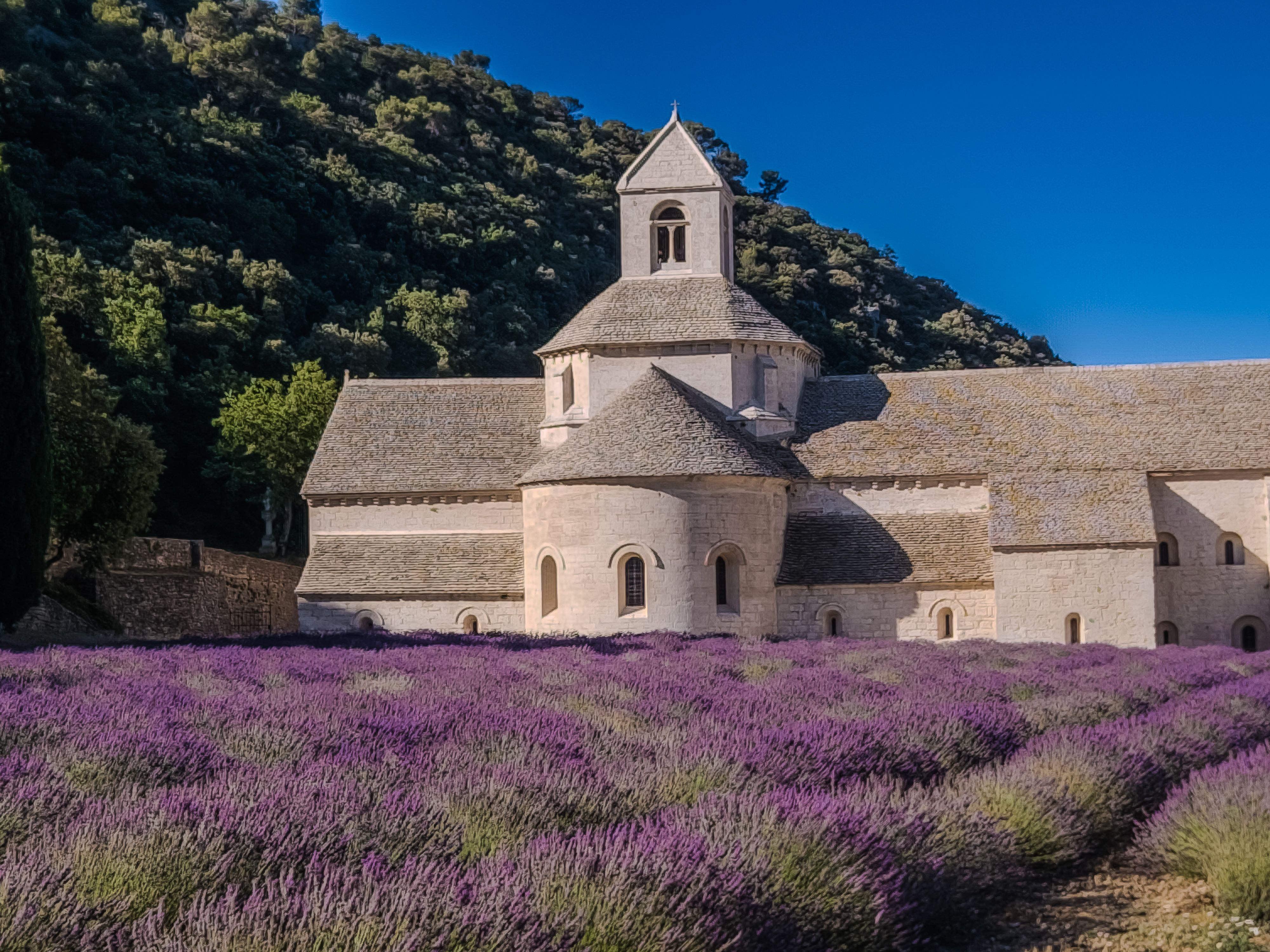 Lavender Fields at Sénanque Abbey, Provence · Free Stock Photo