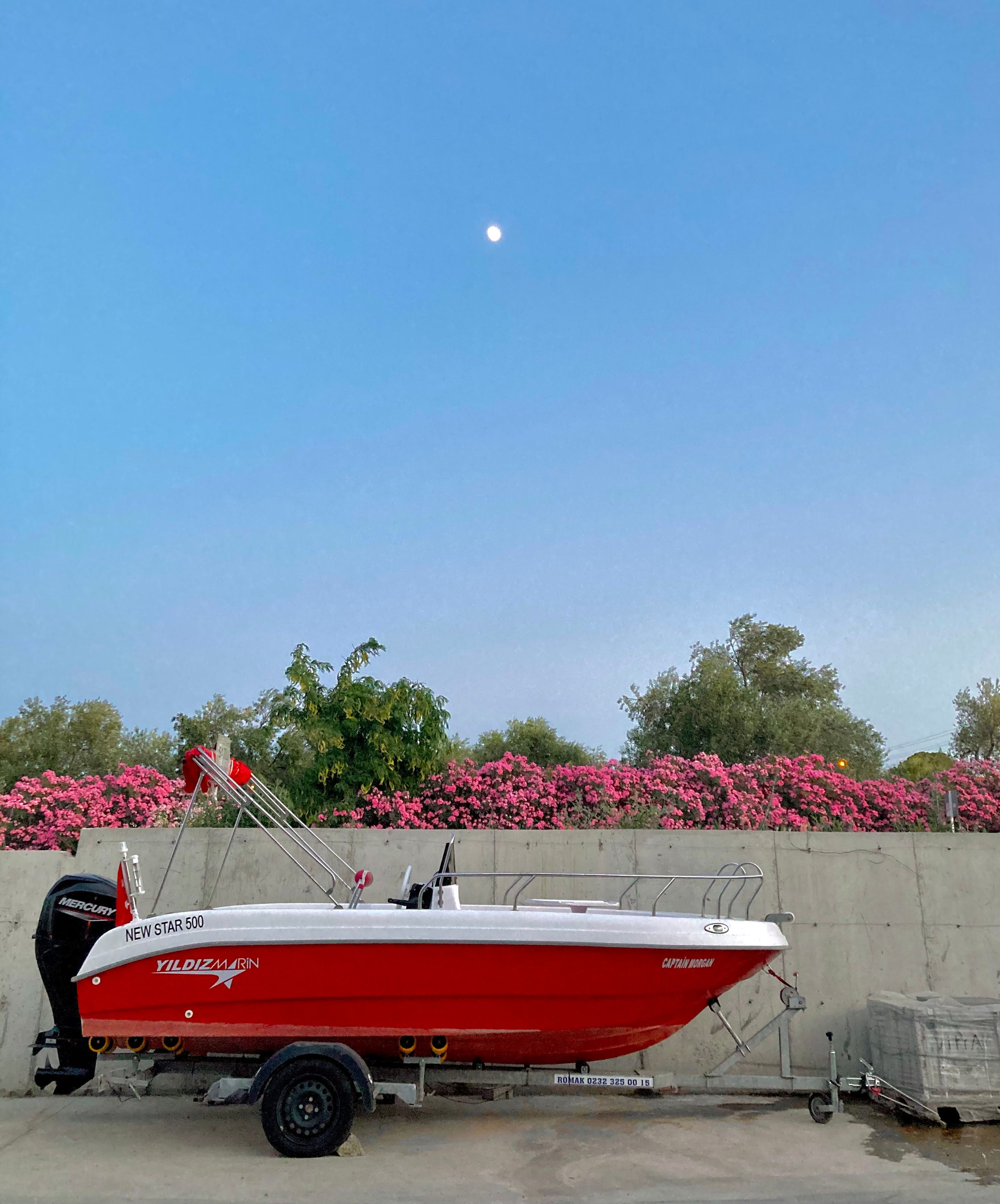 Red Motorboat on Trailer with Pink Flowers · Free Stock Photo