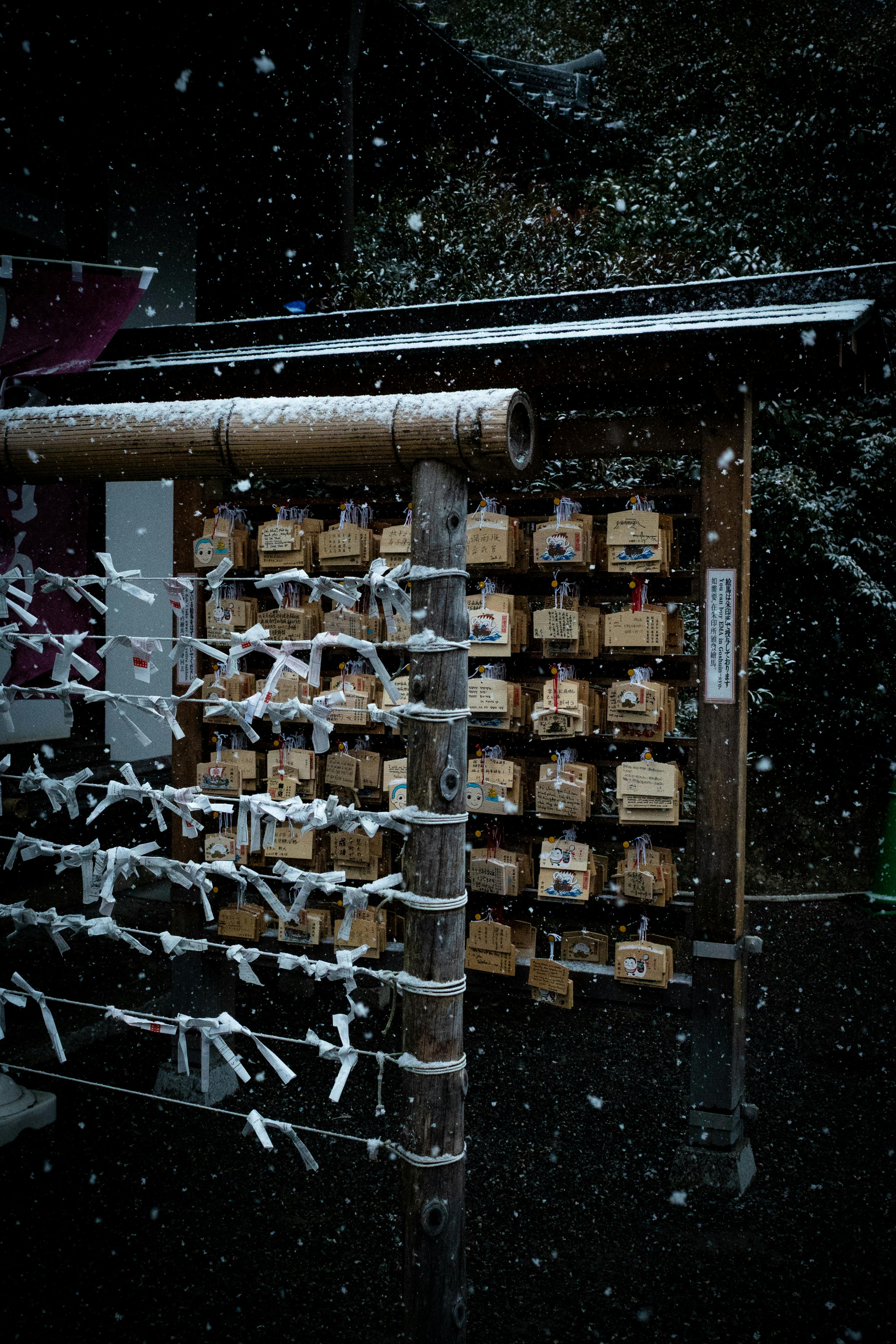 Yololary+Strip Photos, Download The BEST Free Yololary+Strip Stock ...