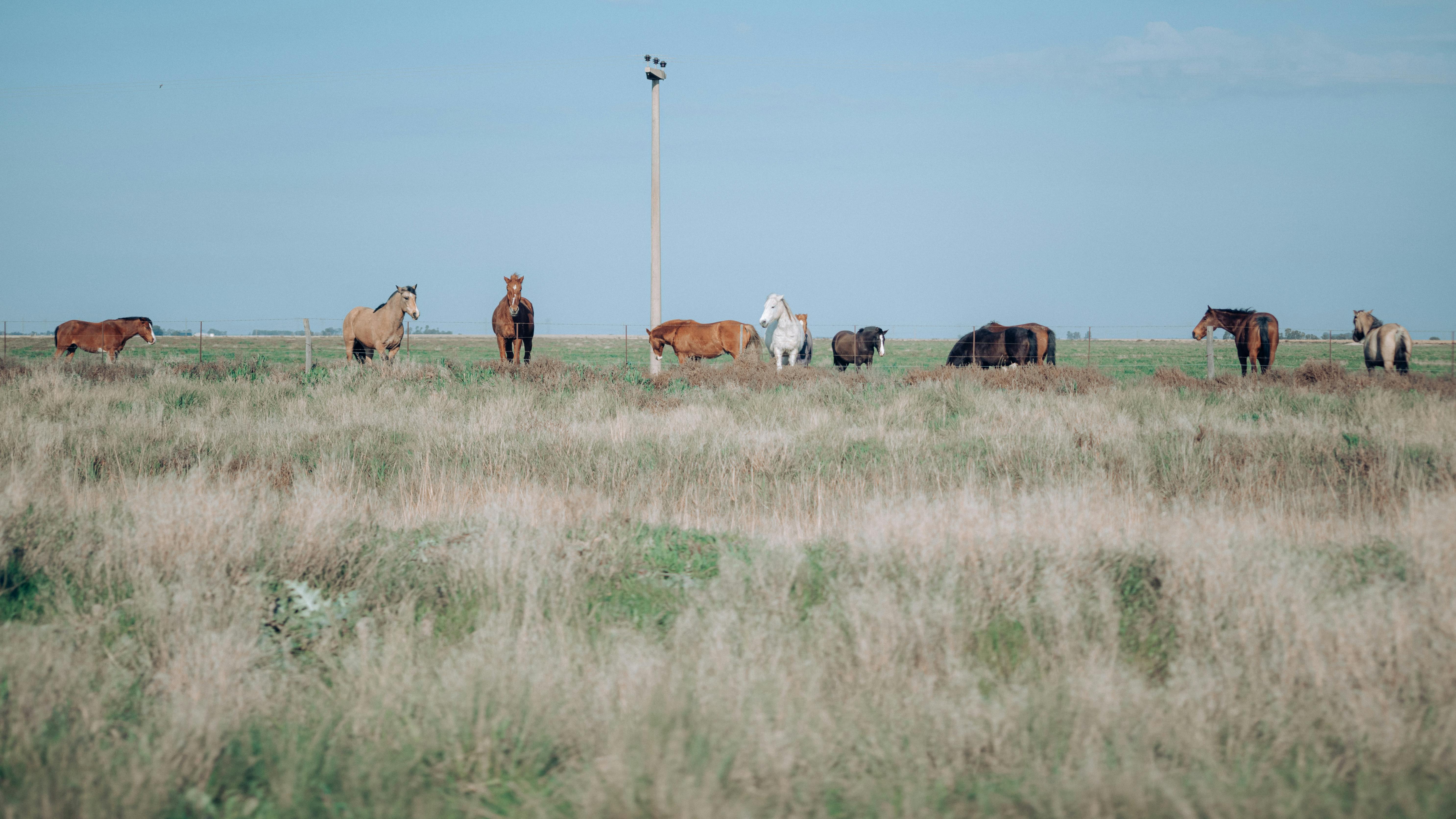 Stalker Ranch Photos, Download The BEST Free Stalker Ranch Stock Photos ...
